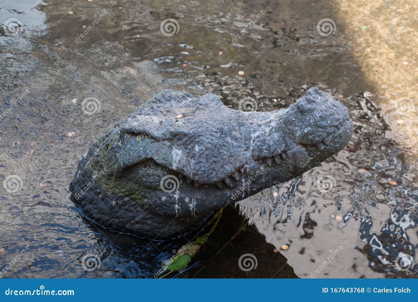 Stone crocodile statue stock photo. Image of river, nature - 167643768