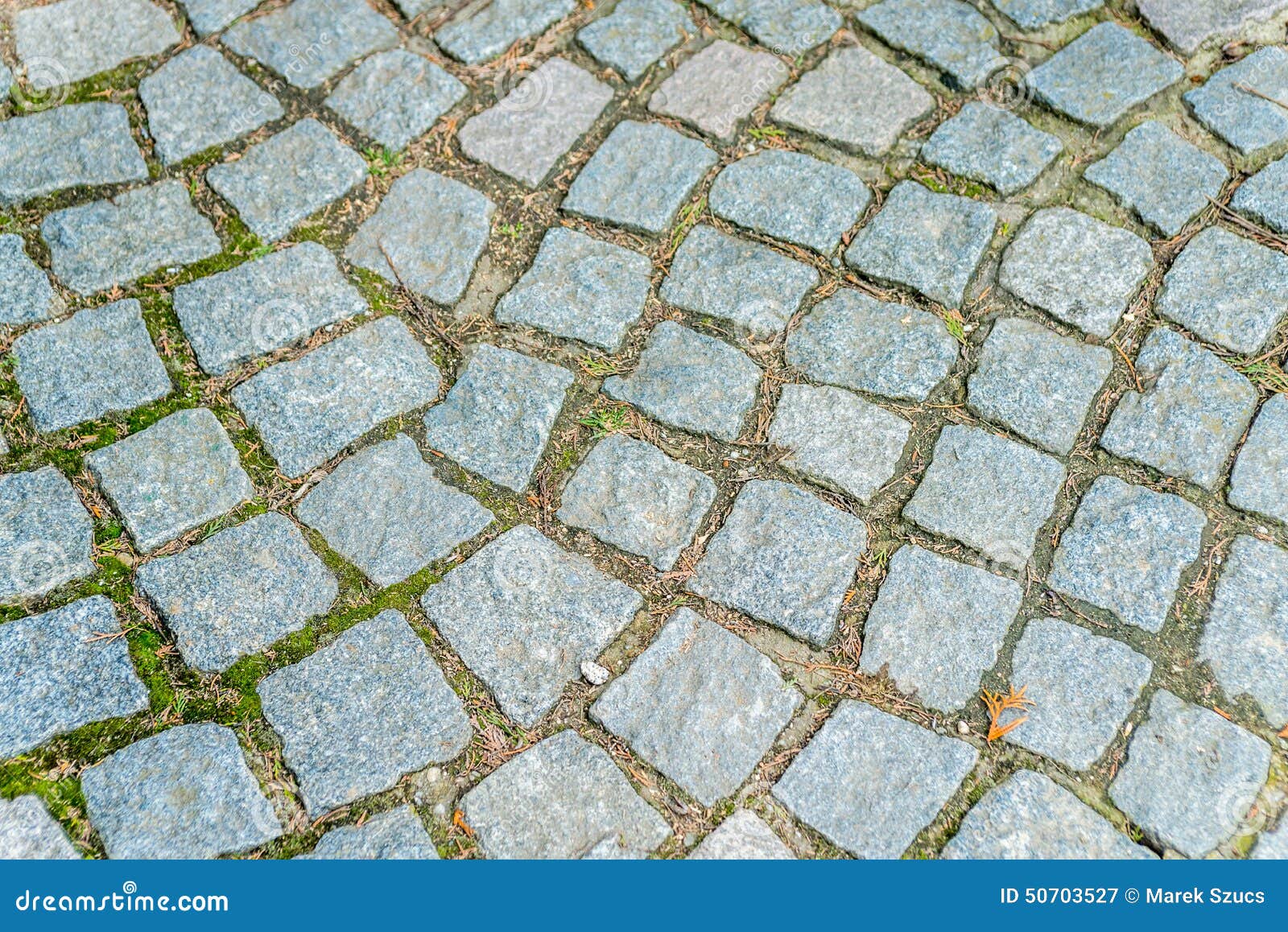 Stone Cube Pathway Texture Wavy, Diagonal, Moss Stock Image - Image of ...