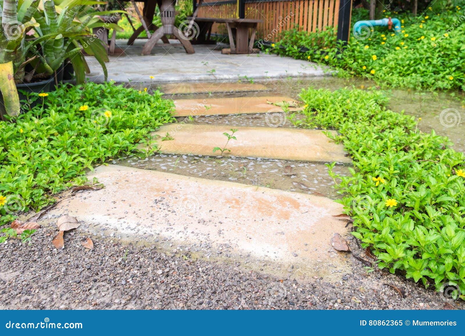 Stone Curved Walkway in Garden Stock Image - Image of garden, design ...