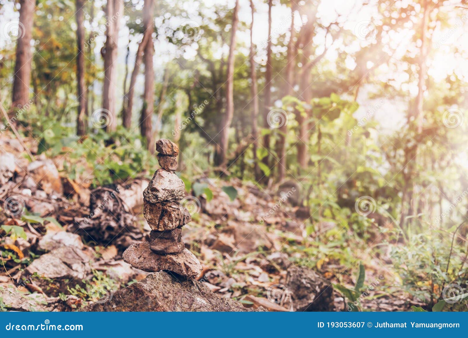 Stone on in Deep Forest with Sunset Zen-like the Concept with Sunlight ...
