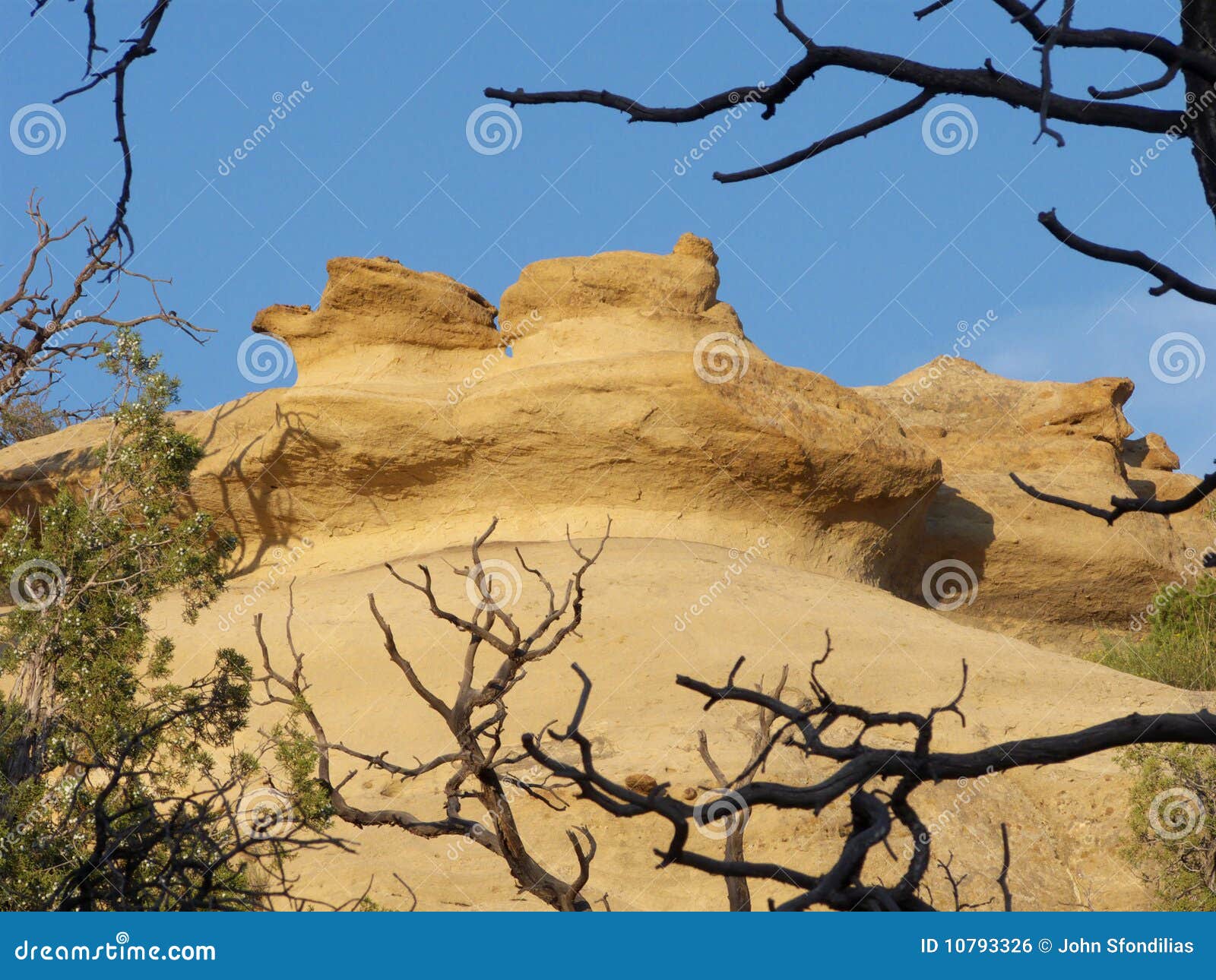 Stone Desert stock photo. Image of branch, southwest - 10793326