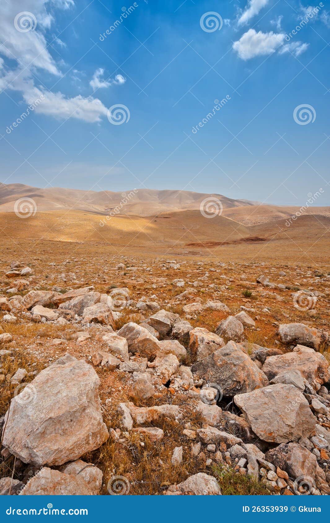 Stone Desert stock image. Image of land, harsh, ground - 26353939