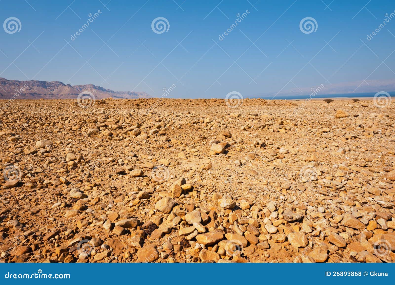 Stone Desert stock photo. Image of judean, bank, nature - 26893868