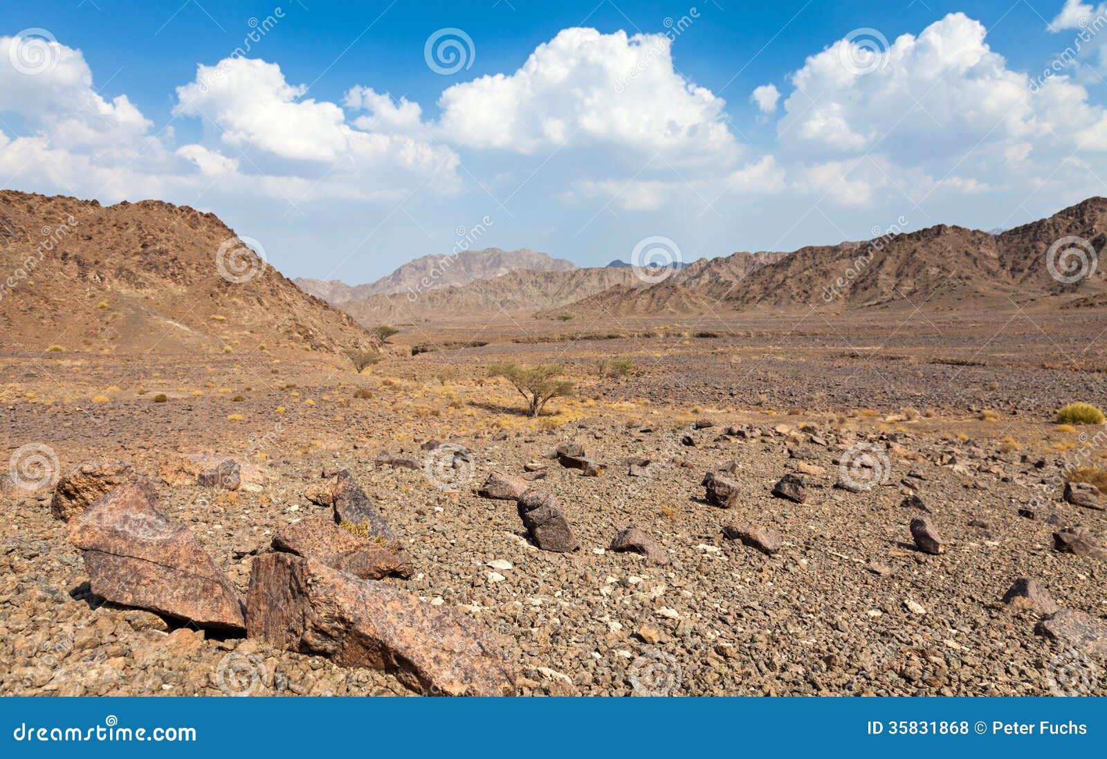 Stone desert stock photo. Image of heat, color, plain - 35831868