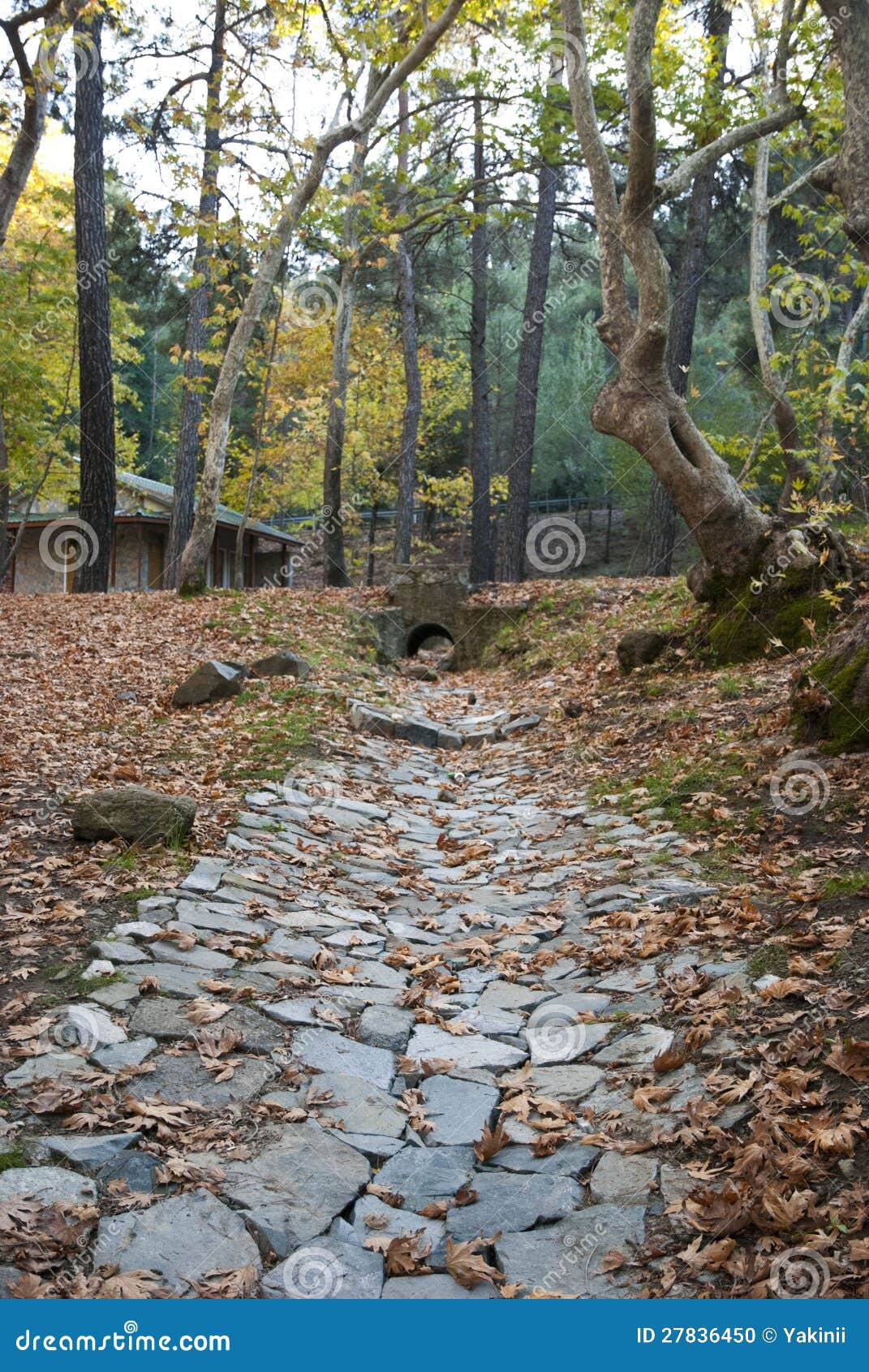 Stone drainage water canal stock photo. Image of detail - 27836450