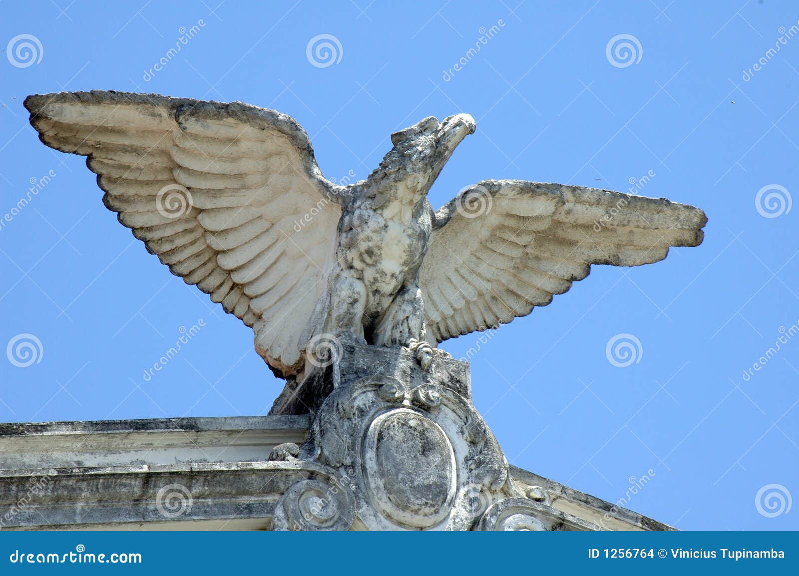 Stone Eagle stock photo. Image of wing, eagle, architecture - 1256764