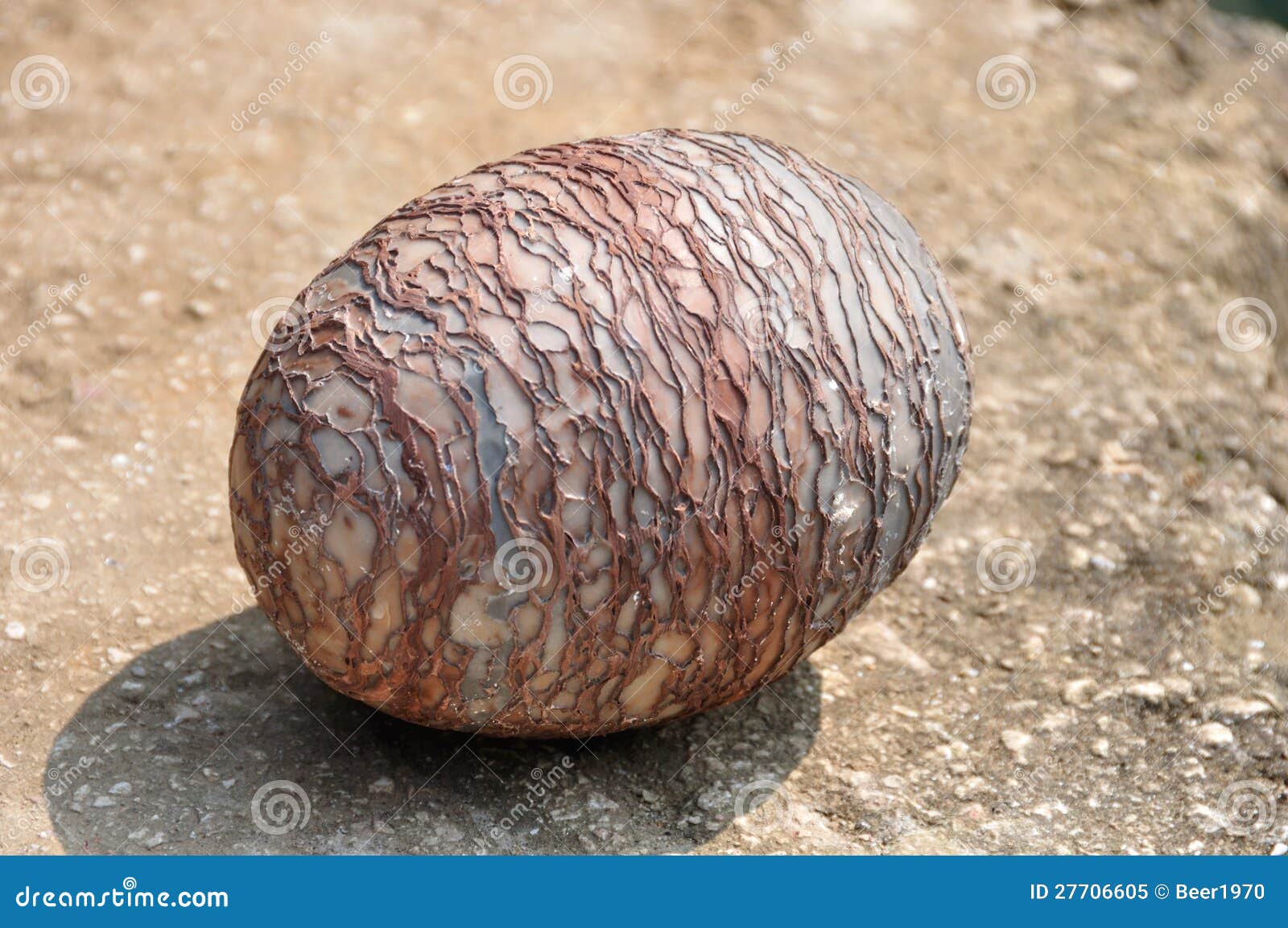 Stone egg stock image. Image of interesting, spherical - 27706605