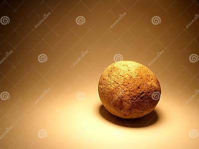Stone egg stock image. Image of quick, shell, reflection - 29775