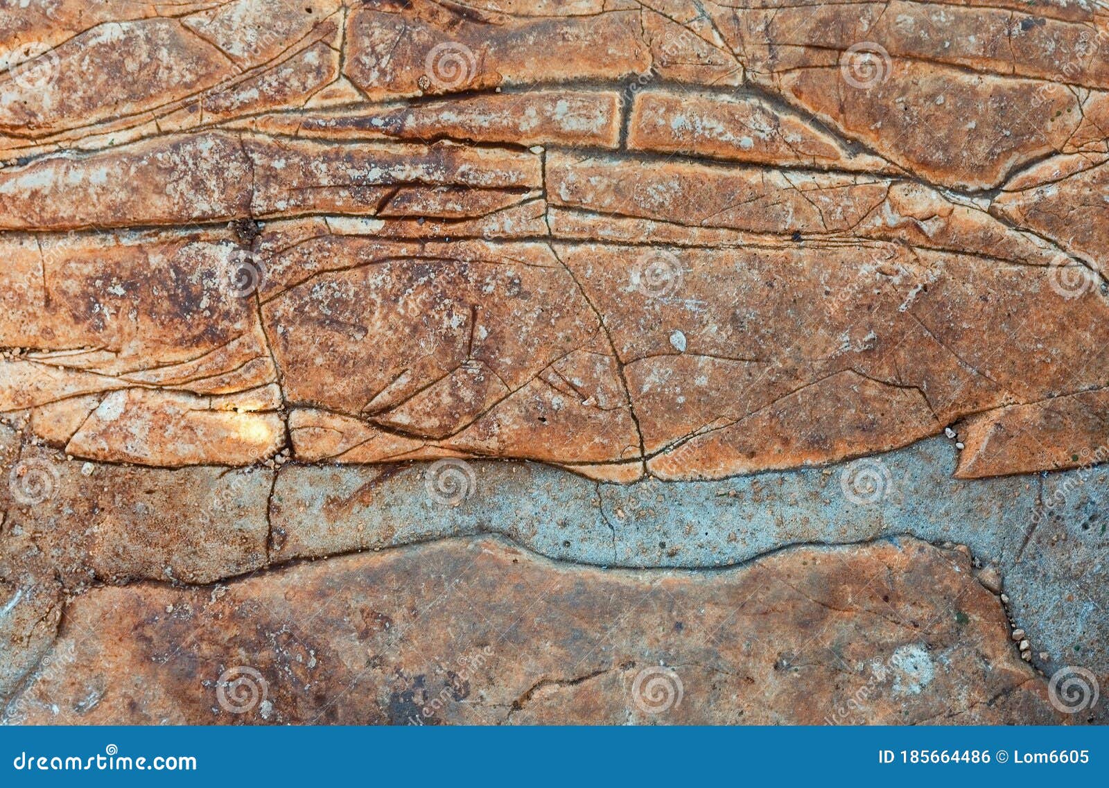 Beautiful Stone Embossed Wall Stock Photo - Image of texture, stucco ...