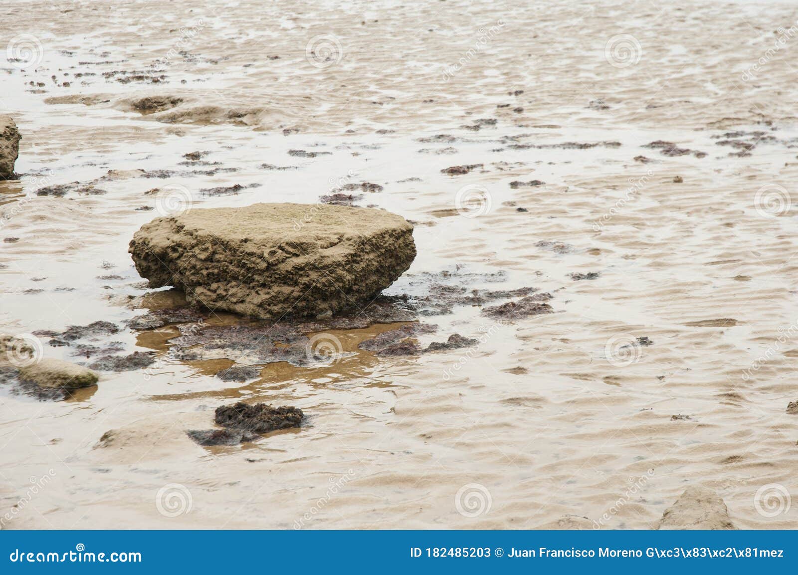 Stone Emerged from the Sea after Low Tide on the Beach Stock Image ...
