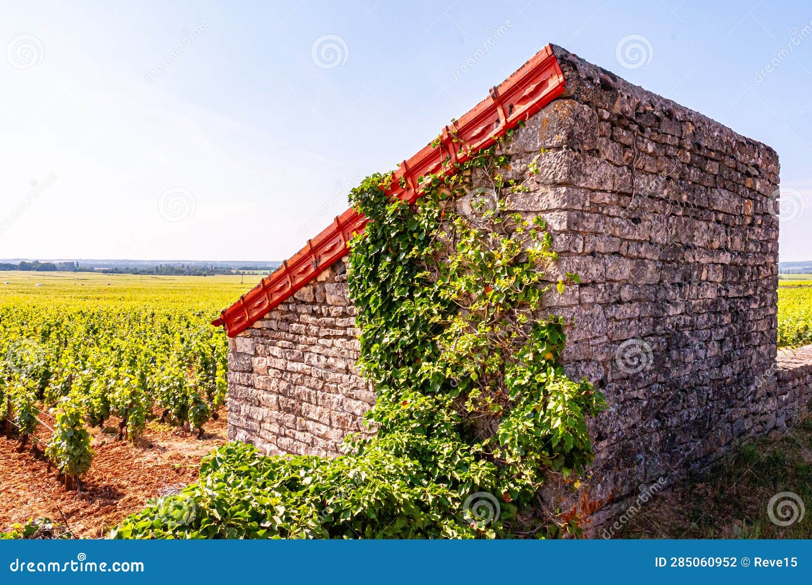 Stone Building, for Field Equipment, with Grape Vines in, a Burgundy ...