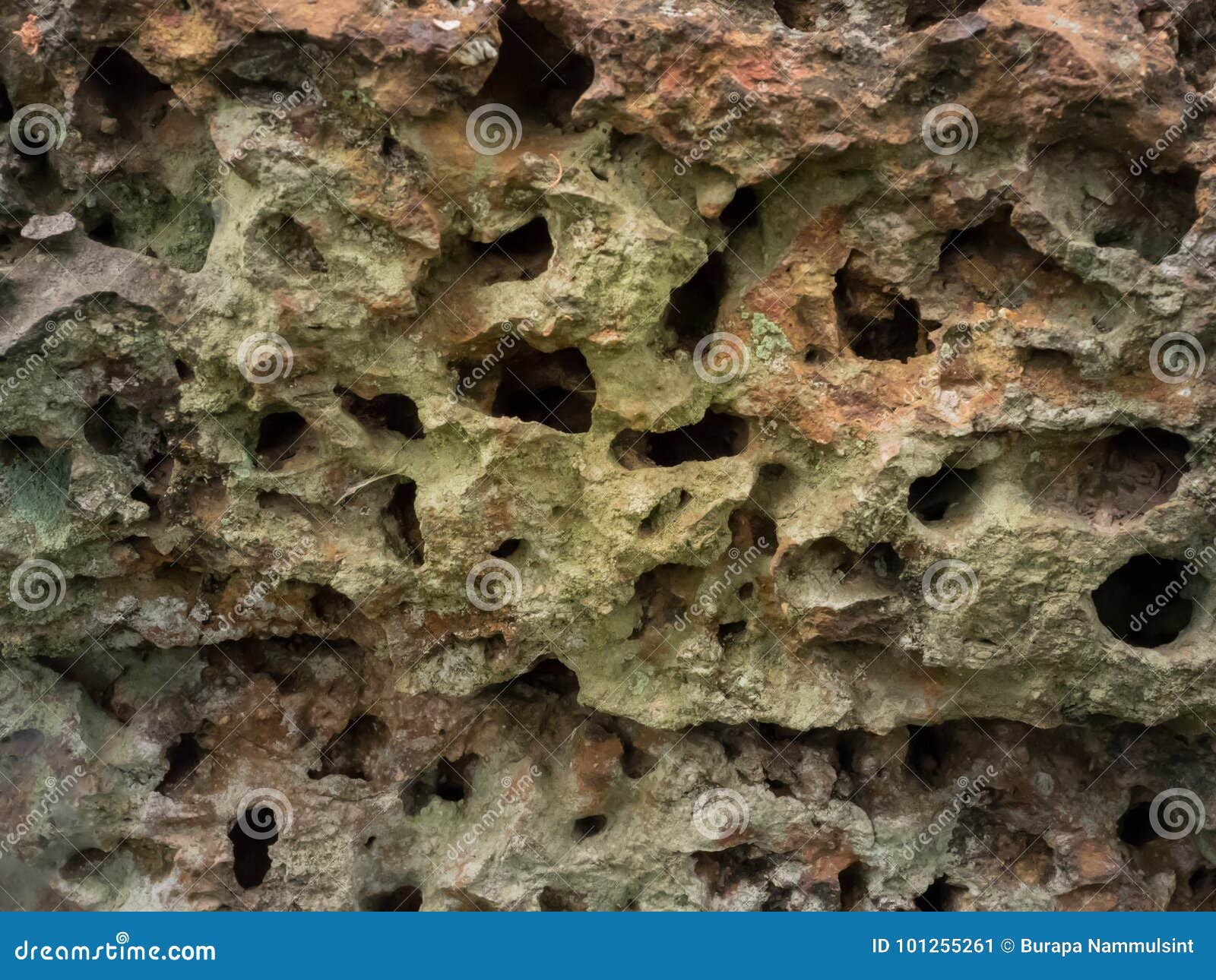 Stone erosion texture. stock image. Image of pattern - 101255261