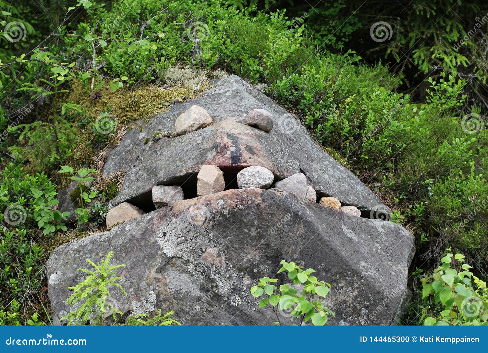 Stone face in nature stock photo. Image of stones, natural - 144465300