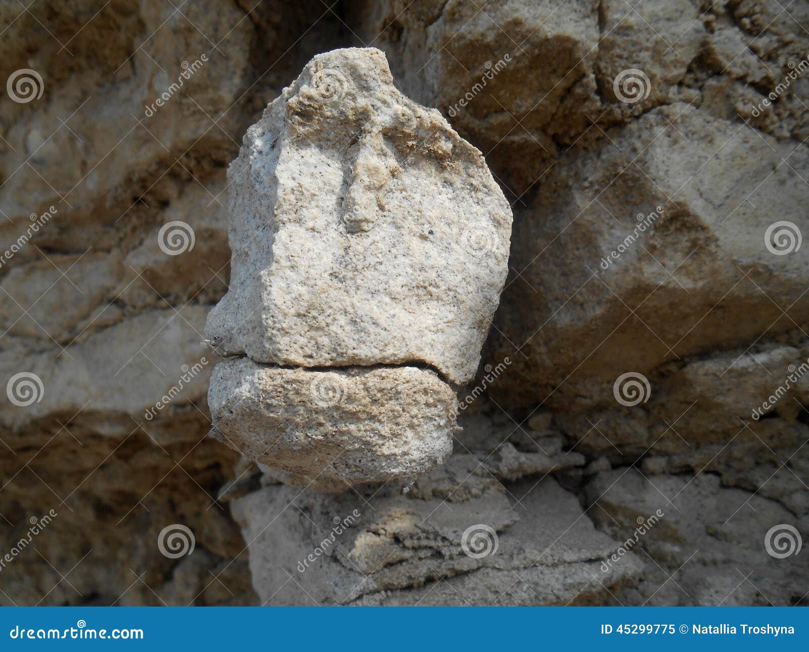 Stone face on the rocks stock image. Image of background - 45299775