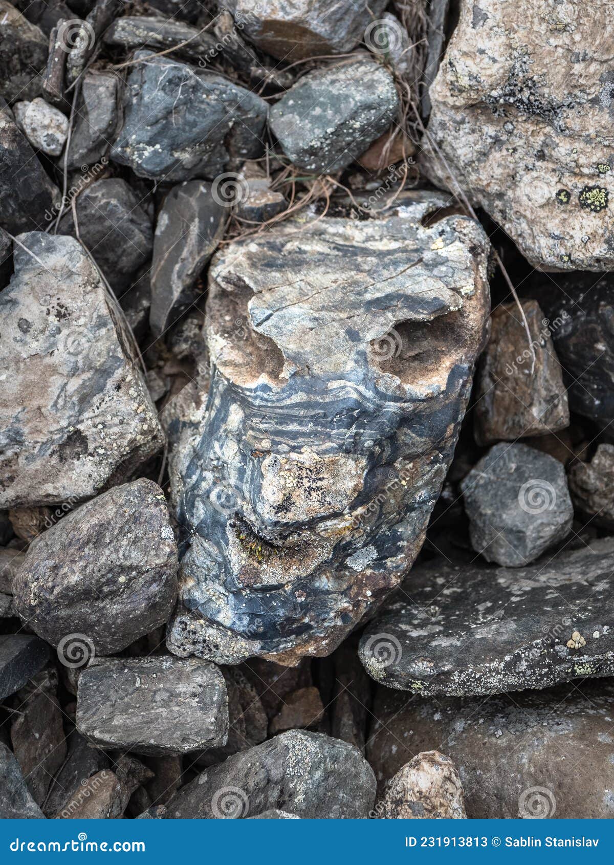 Stone Face, a Stone Shaped Like a Human Face. Mystical Spirits of the ...