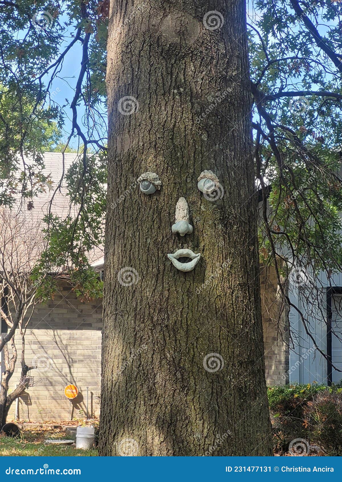 Stone Face on Tree Trunk with Eyes Mouth and Nose Stock Image - Image ...