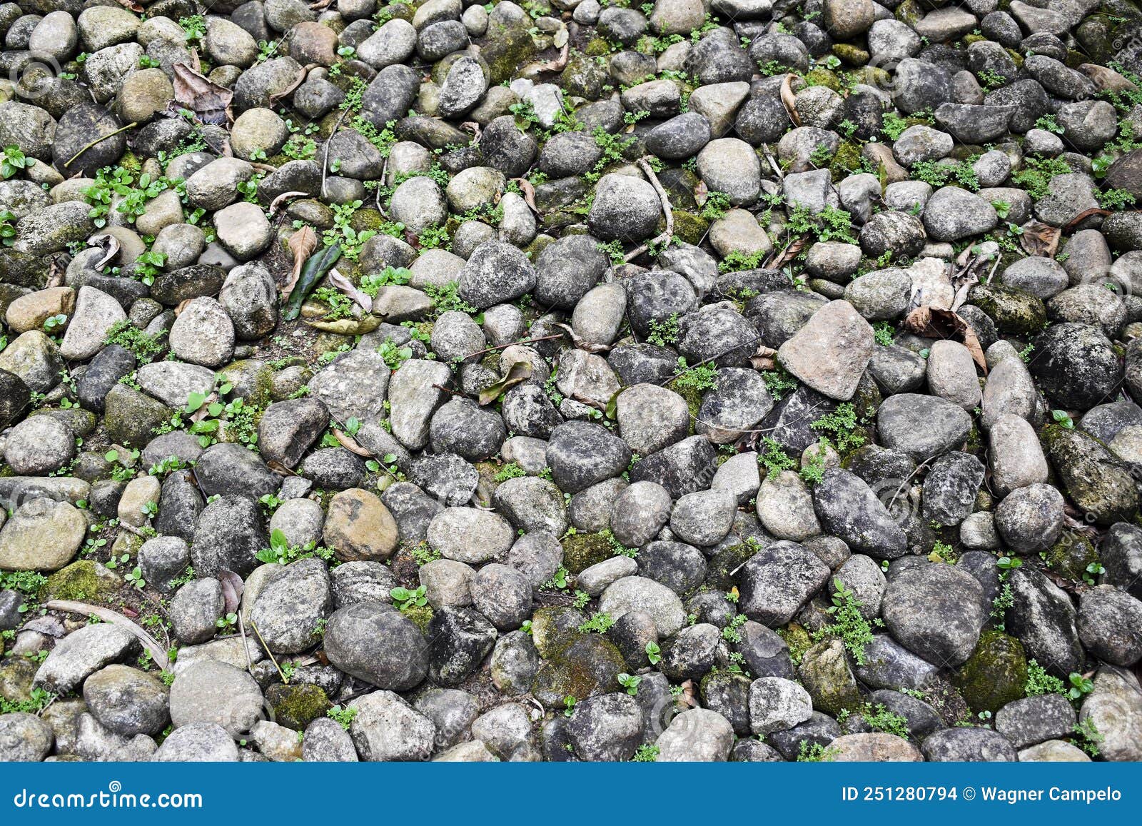 Stone Floor in the Park, Rio De Janeiro Stock Photo - Image of material ...