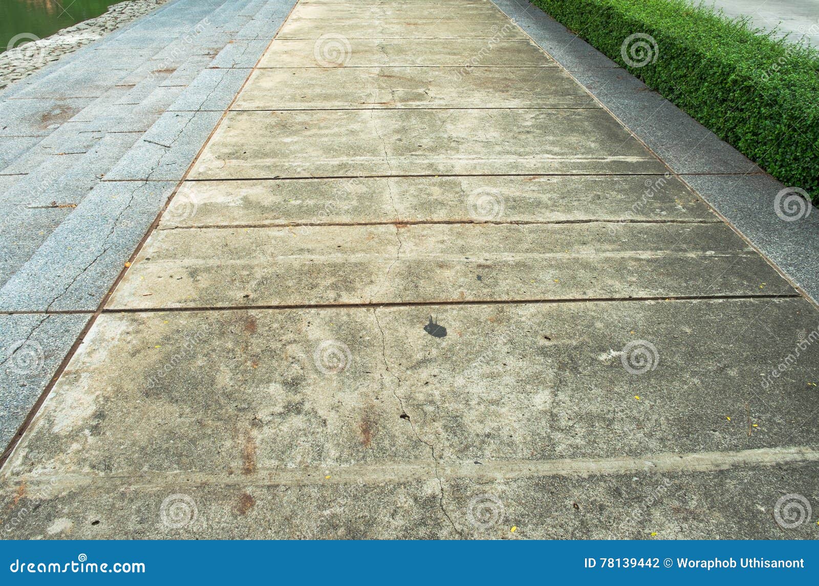 Stone floor path stock photo. Image of bush, outdoor - 78139442