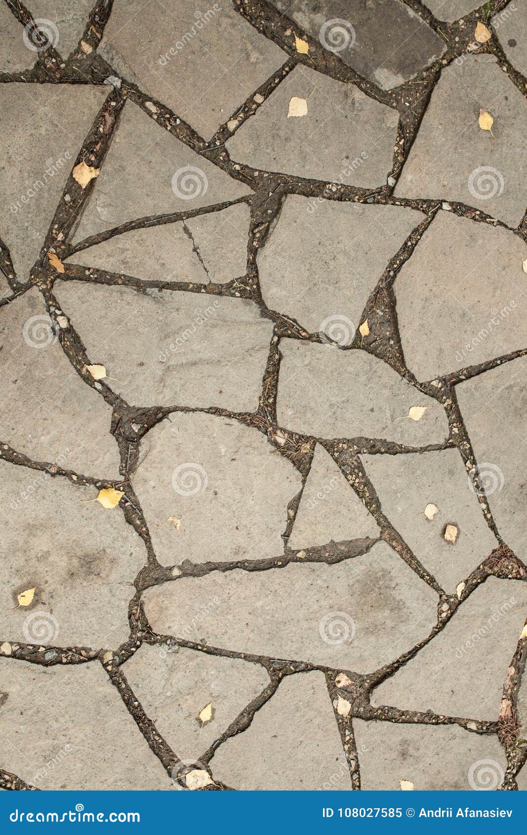 Stone Floor Pattern with a Crack Stock Image - Image of background ...
