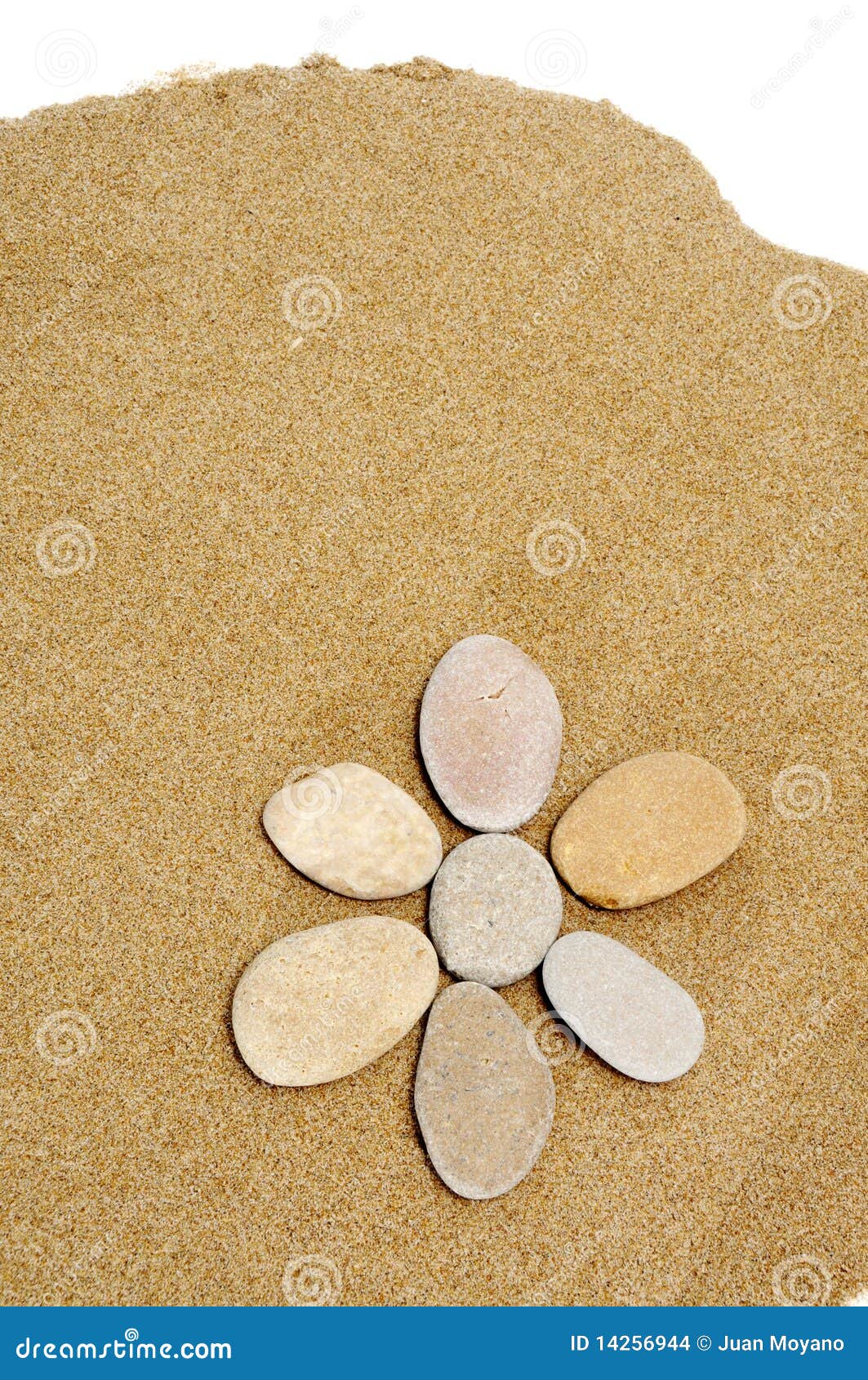 Stone flower stock photo. Image of love, sensitivity - 14256944