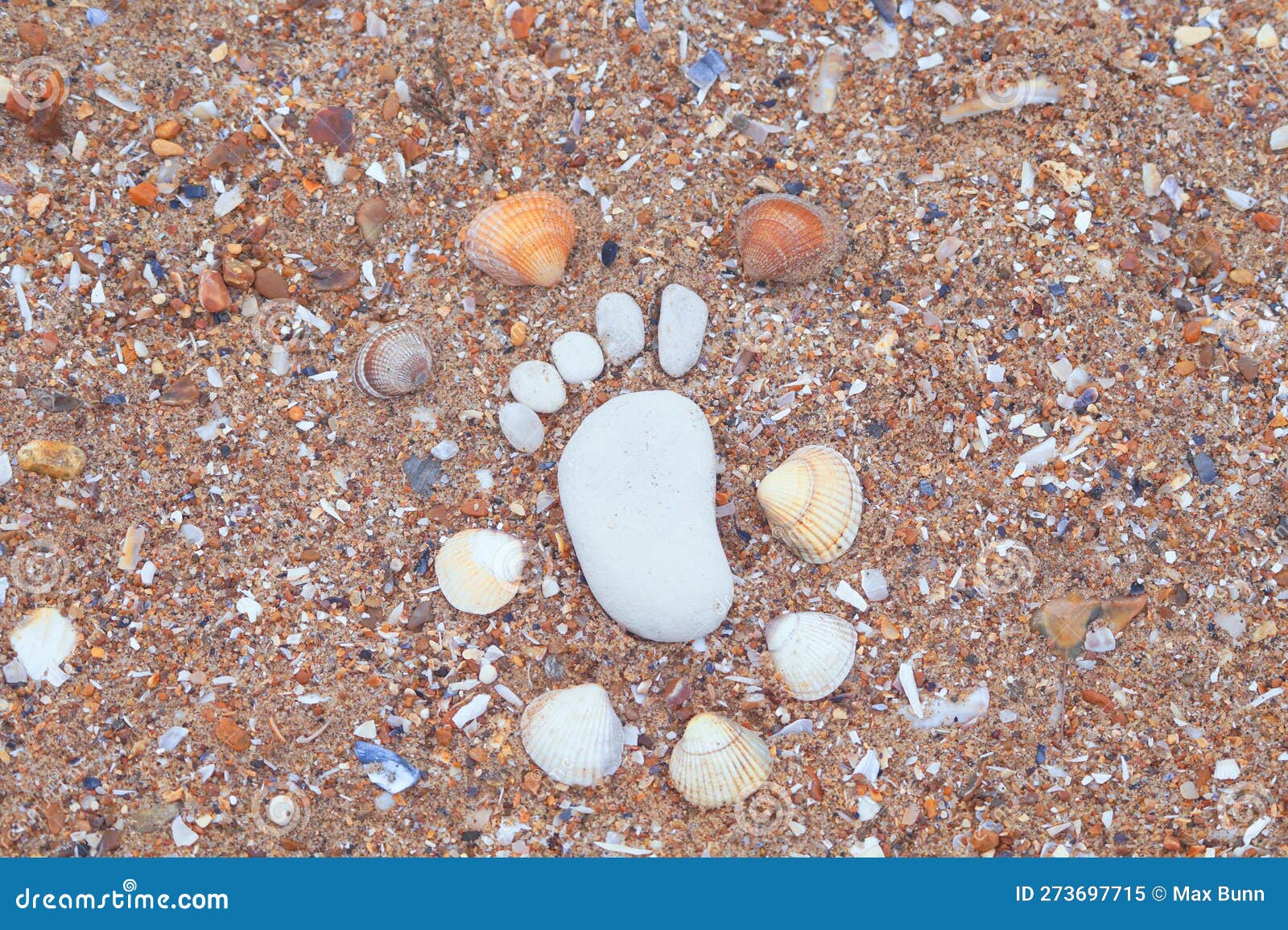 The stone foot print stock image. Image of foot, shells - 273697715