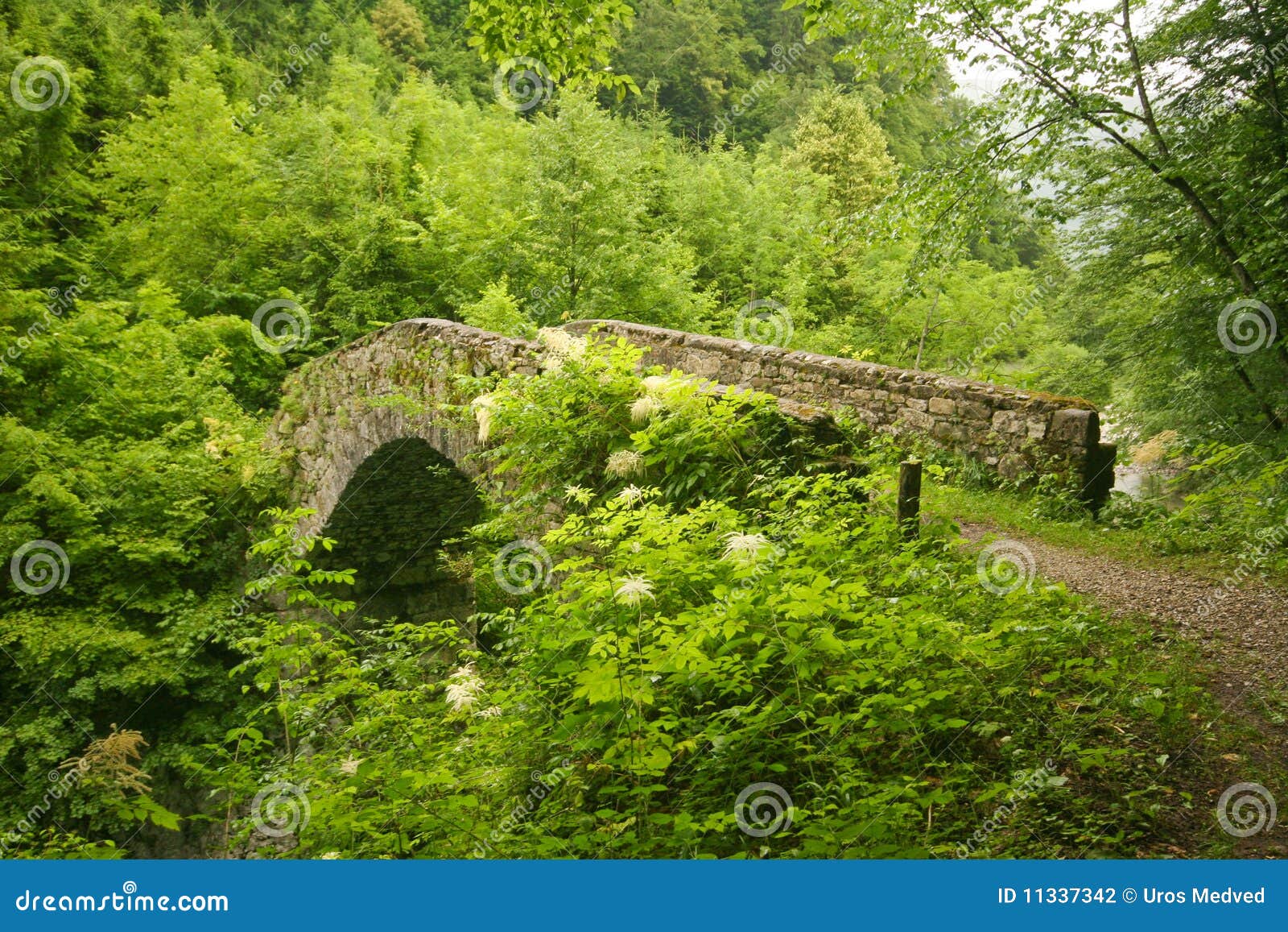Stone footbridge stock photo. Image of nature, fall, beautiful - 11337342