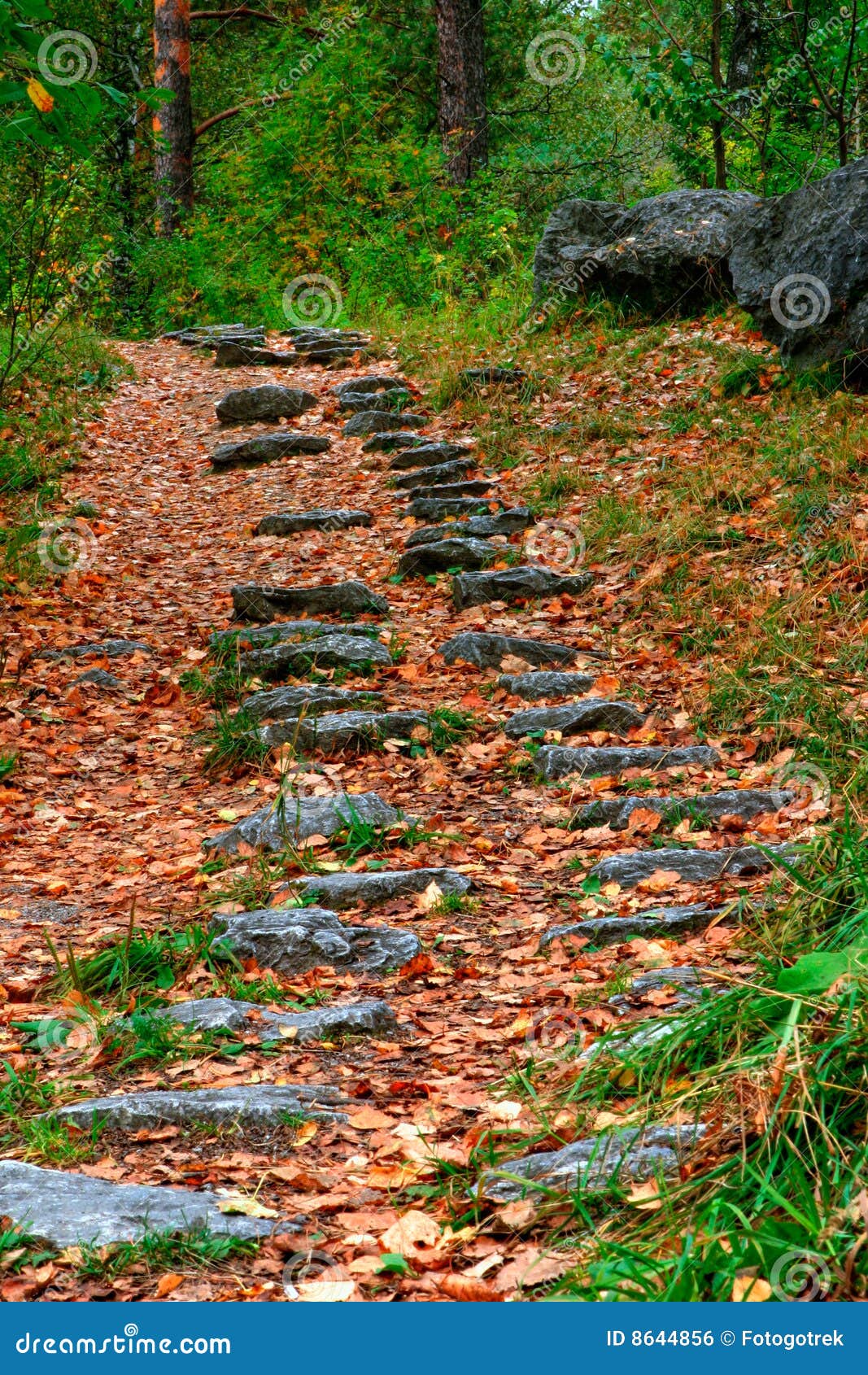 Stone footpath stock photo. Image of stepping, scene, grass - 8644856