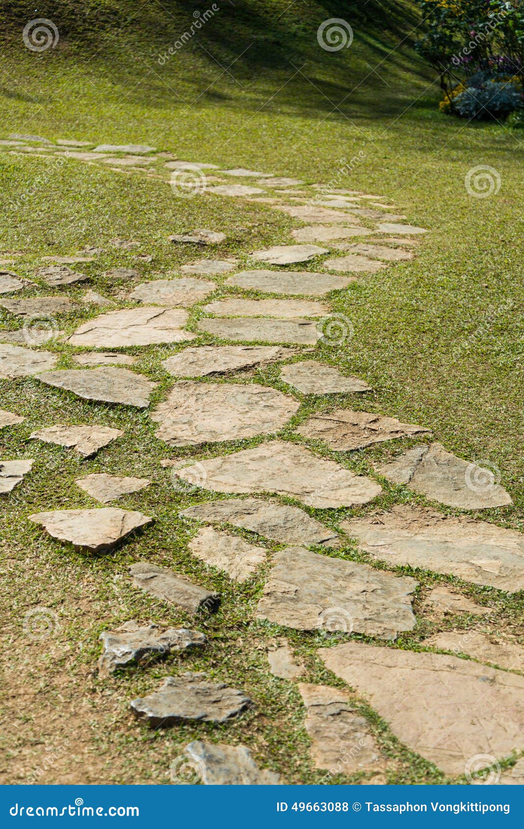 Stone footpath curve stock photo. Image of steps, yard - 49663088