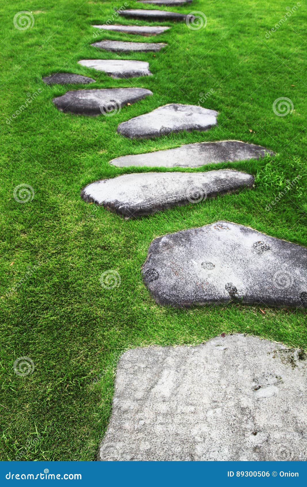 Stone footpath stock photo. Image of flora, paving, outdoor - 89300506