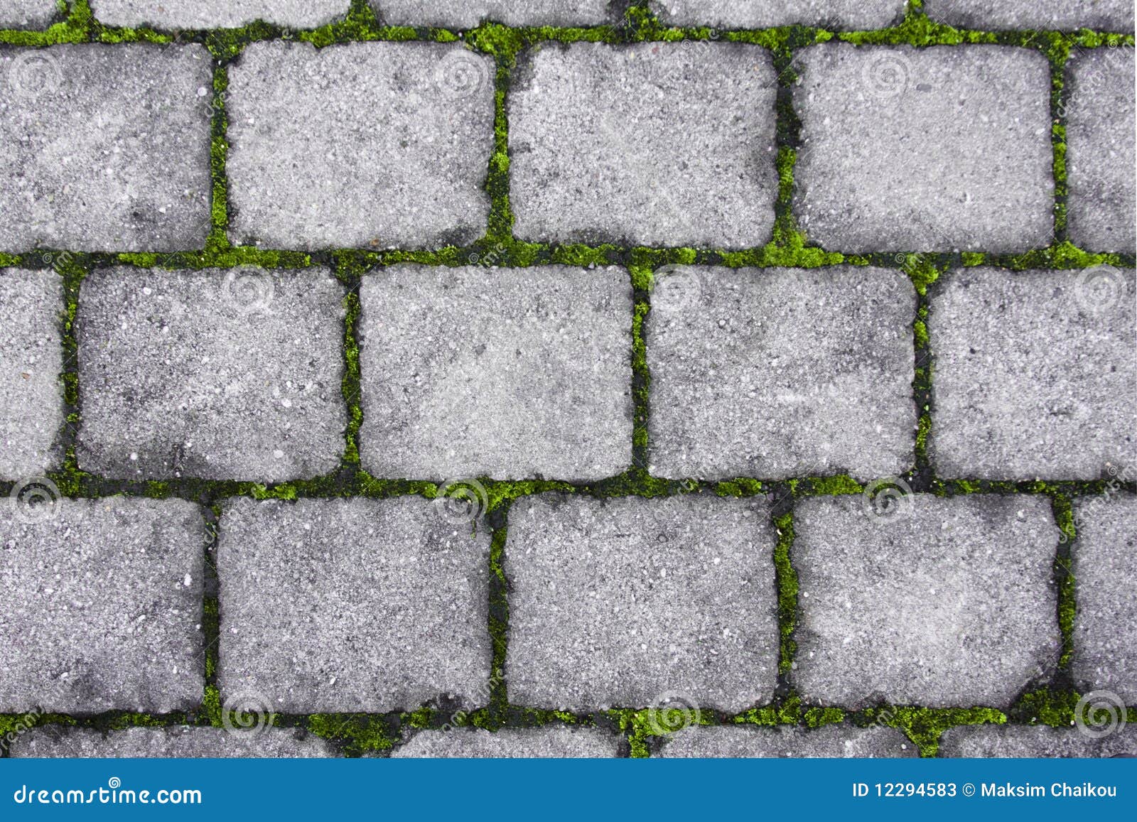 Stone footpath with moss stock image. Image of road, pebble - 12294583