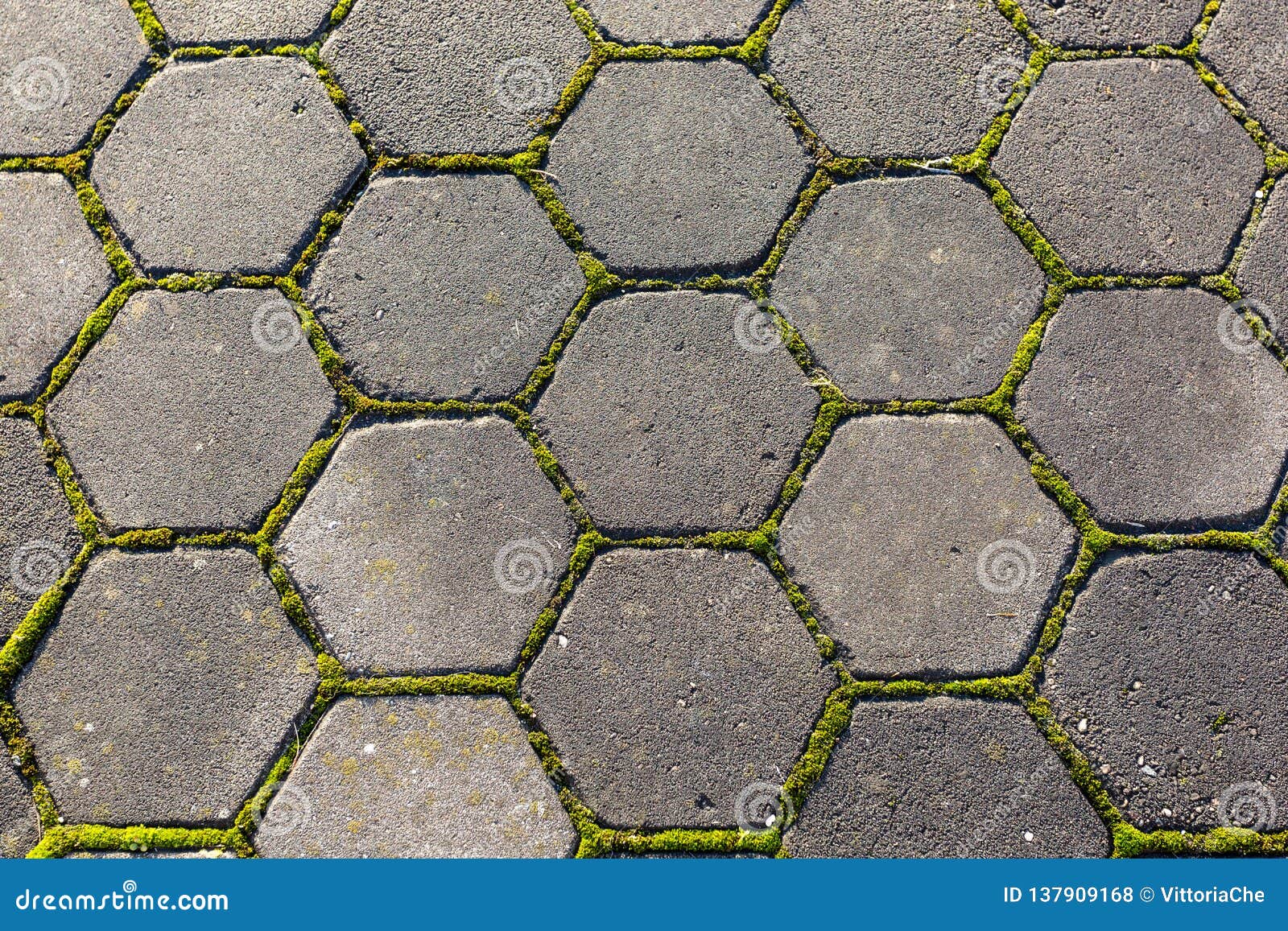 Stone Footpath with Moss, Close Up Image Stock Photo - Image of grunge ...