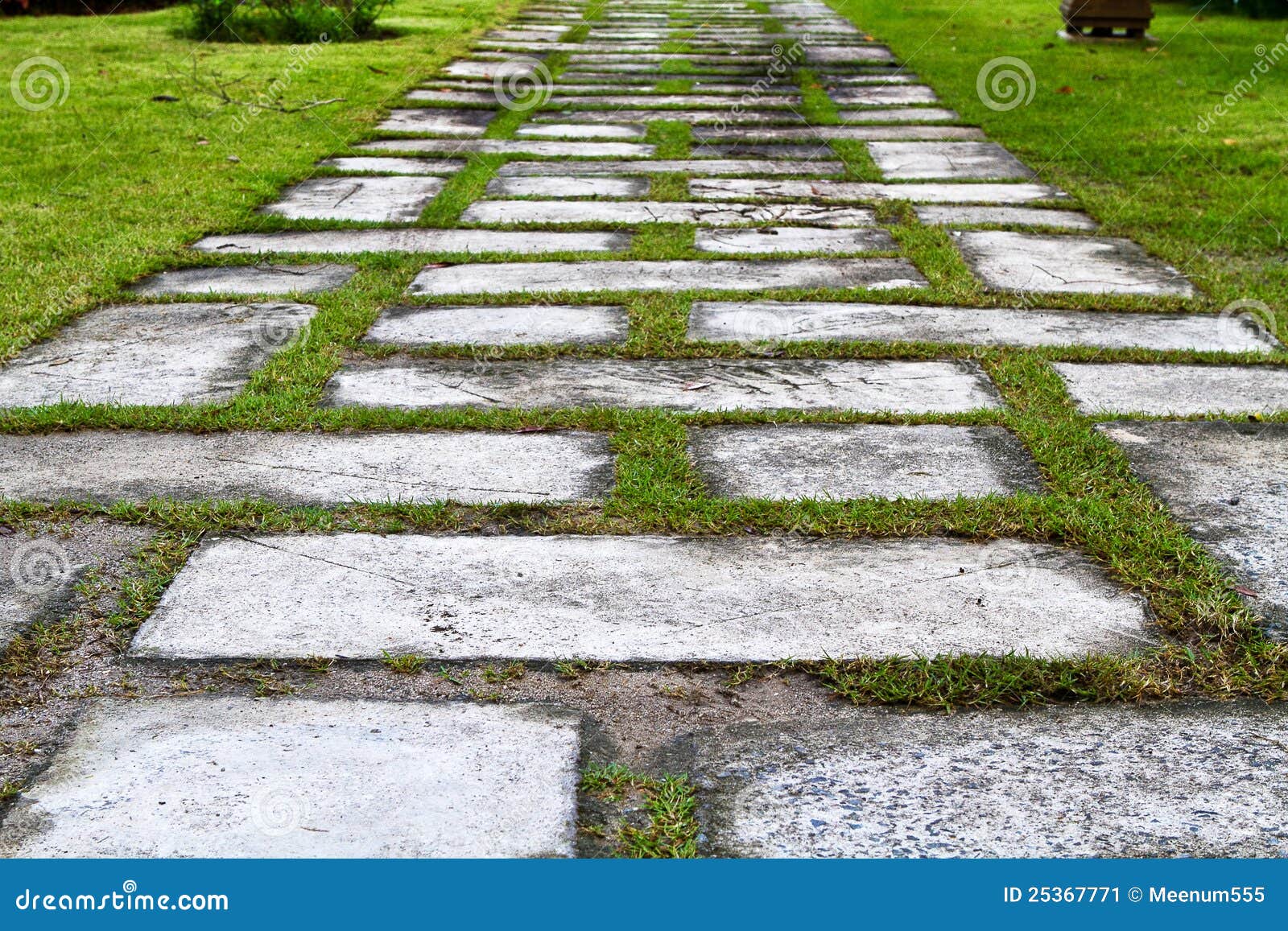 Stone footpath in park stock image. Image of nature, color - 25367771