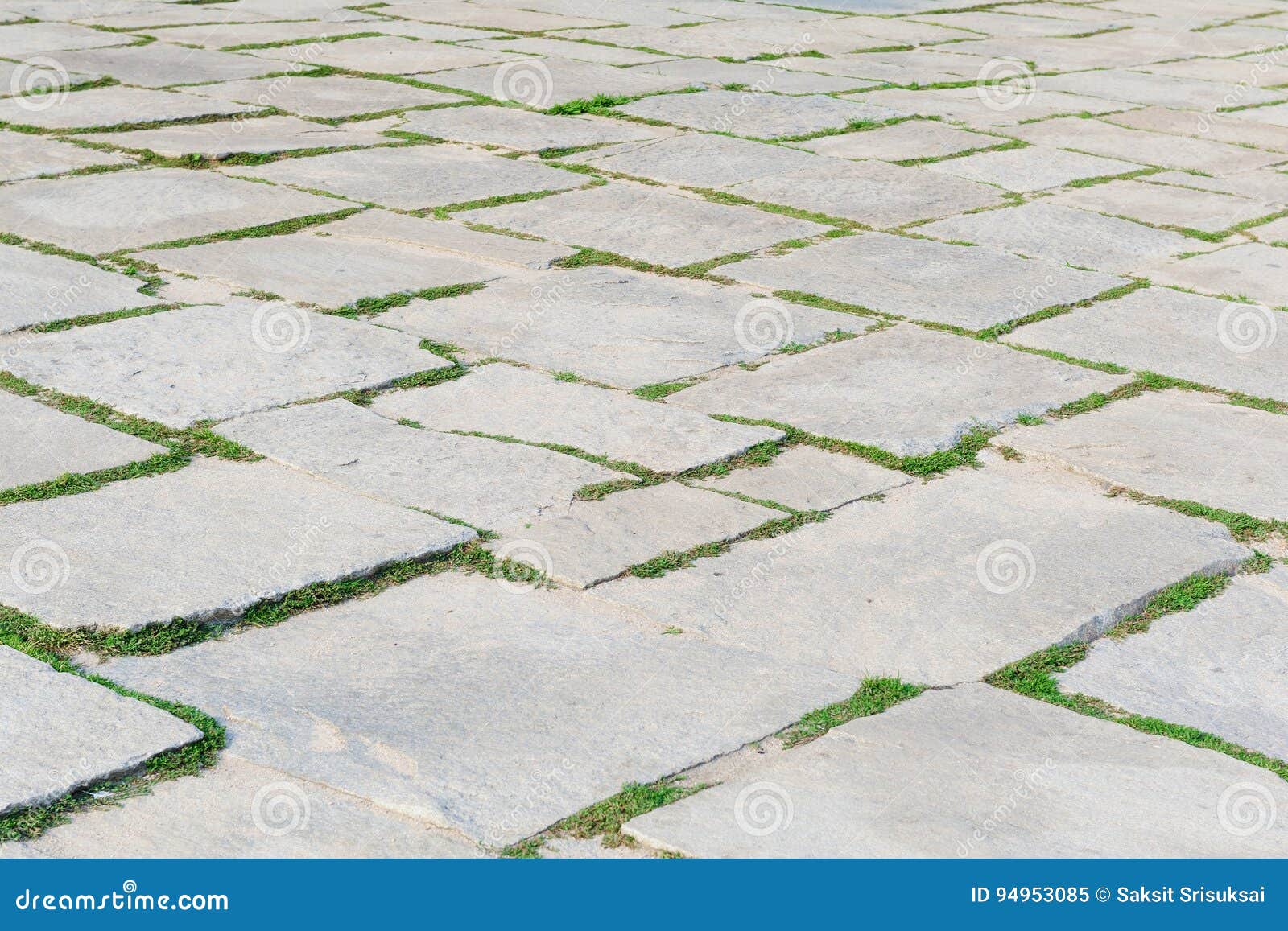 Stone Footpath Pattern with Green Grass in Perspective Background Stock ...