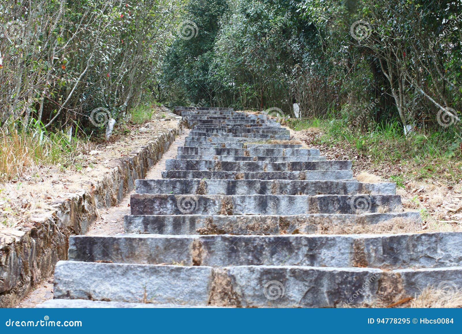 Stone footstep stock image. Image of footsteps, nature - 94778295