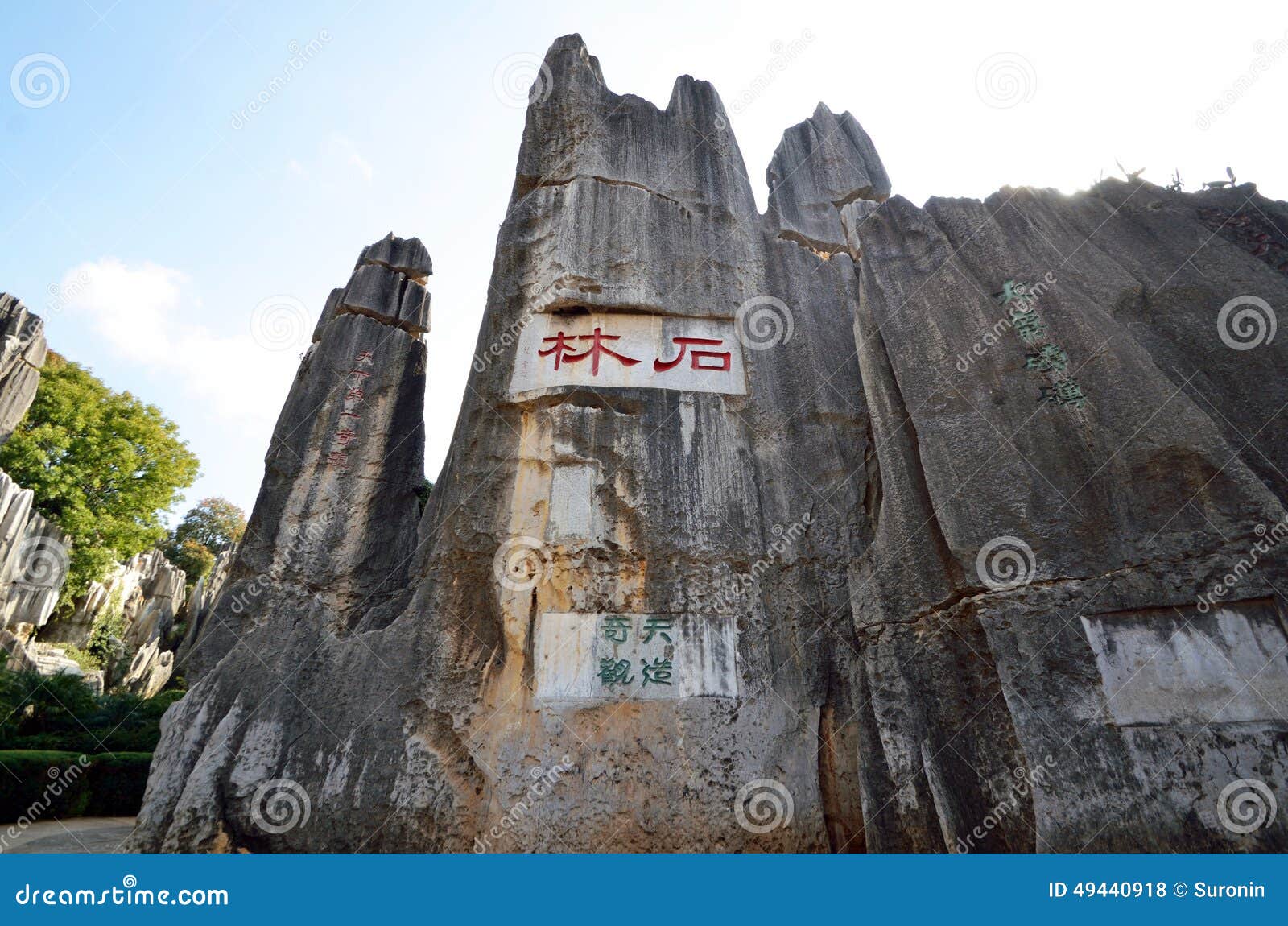Stone Fores editorial stock photo. Image of landscape - 49440918