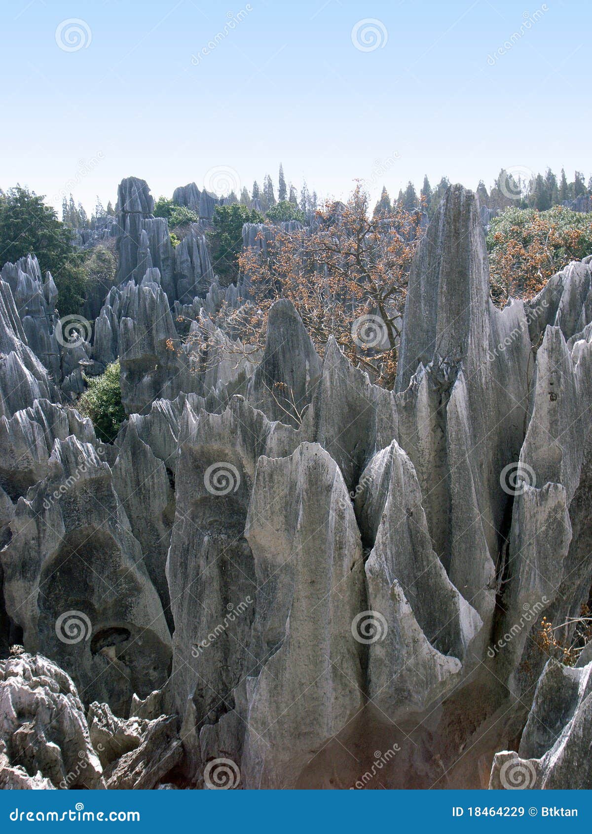 Stone forest stock image. Image of china, geology, fear - 18464229