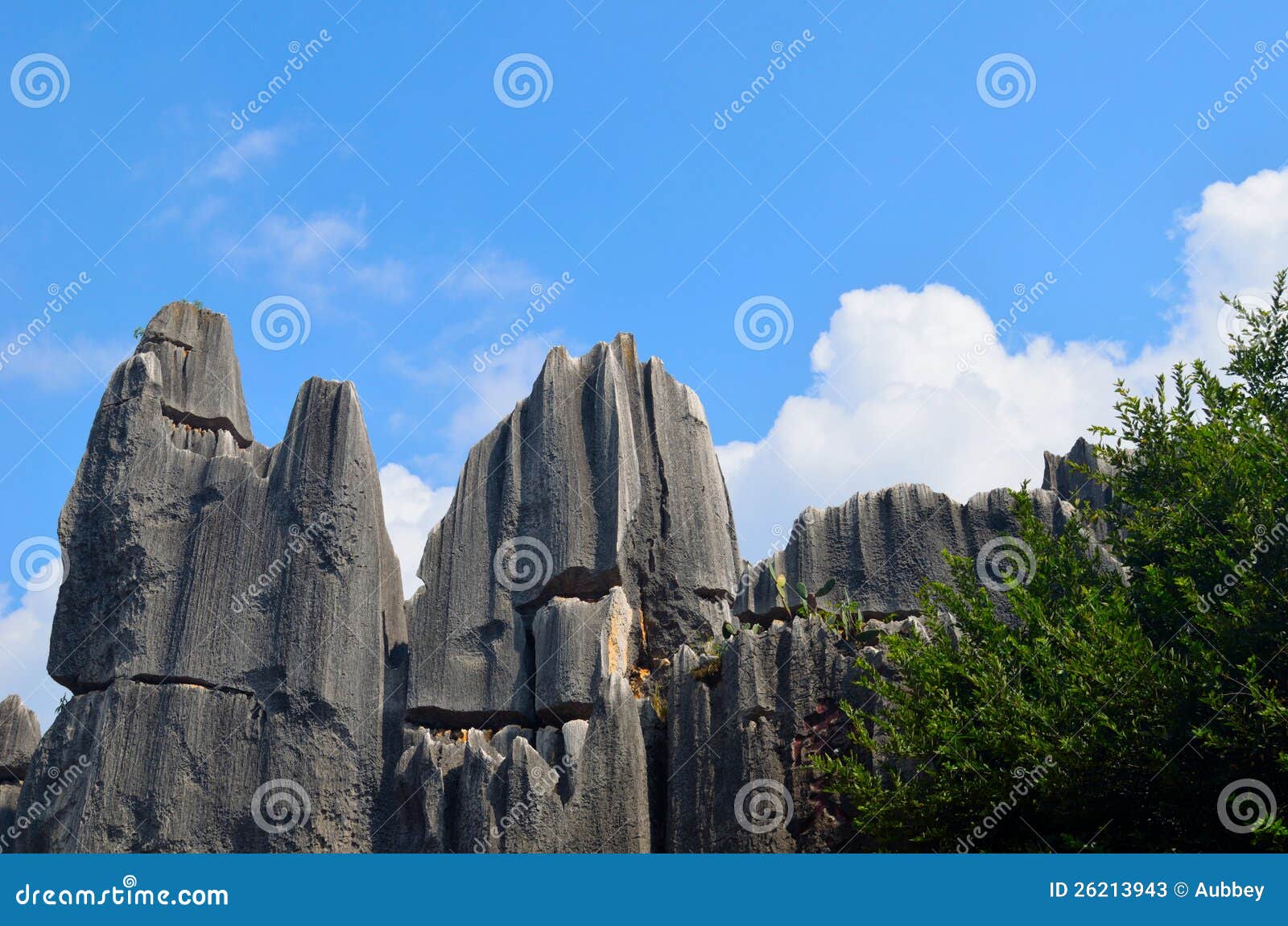 Stone forest stock image. Image of stoneforest, kunming - 26213943
