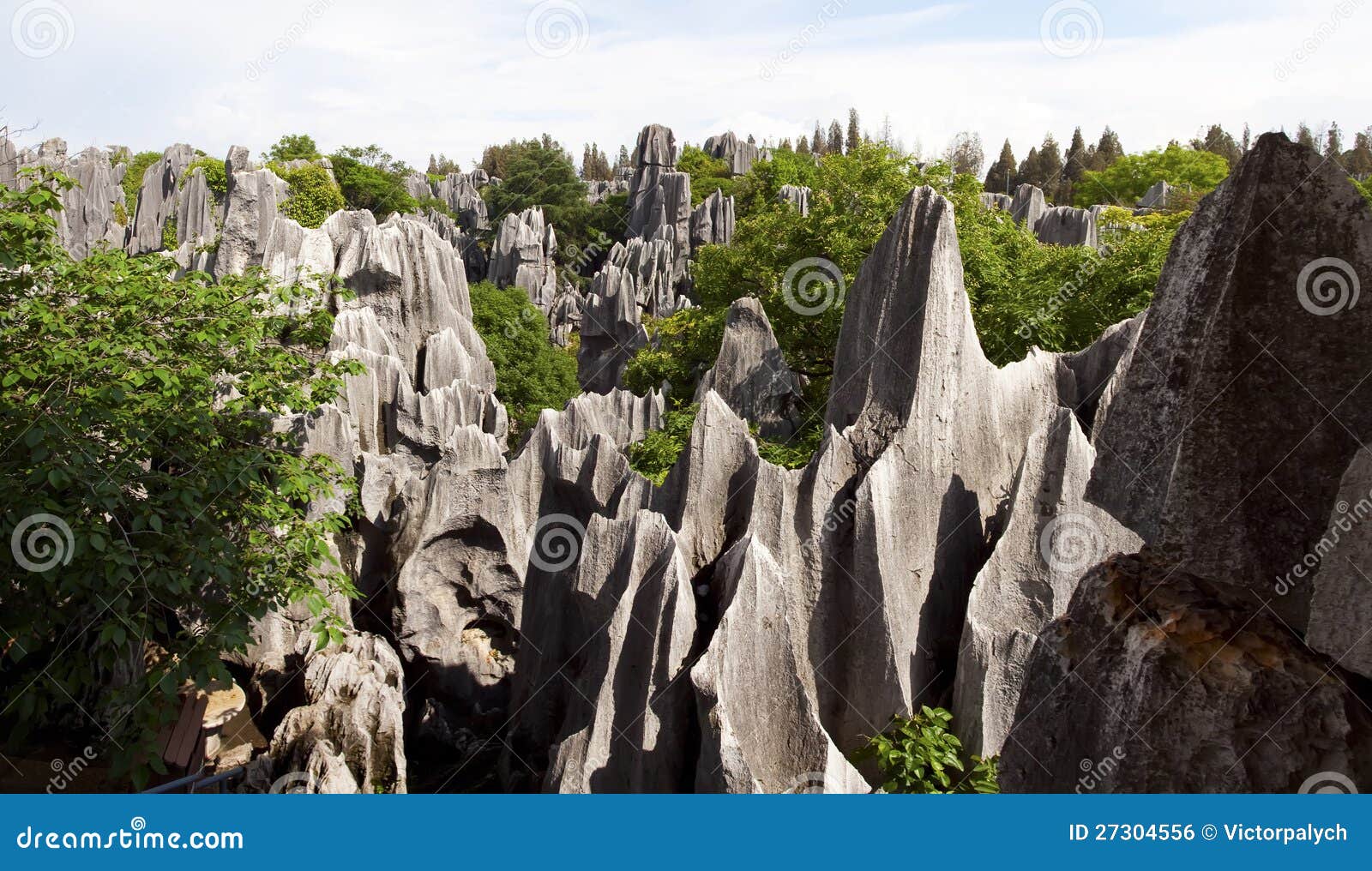 The Stone Forest stock photo. Image of stone, nature - 27304556