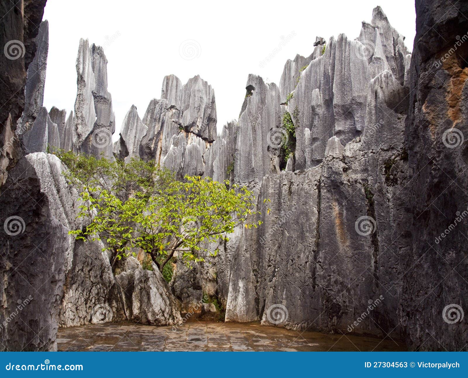 The Stone Forest stock image. Image of yunnan, landscape - 27304563