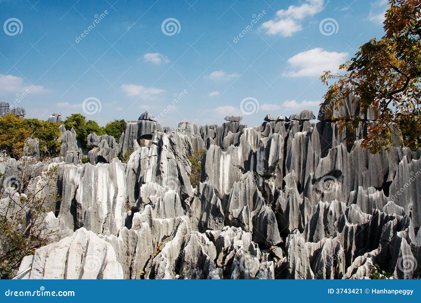 Stone forest stock image. Image of rocky, outdoors, huge - 3743421
