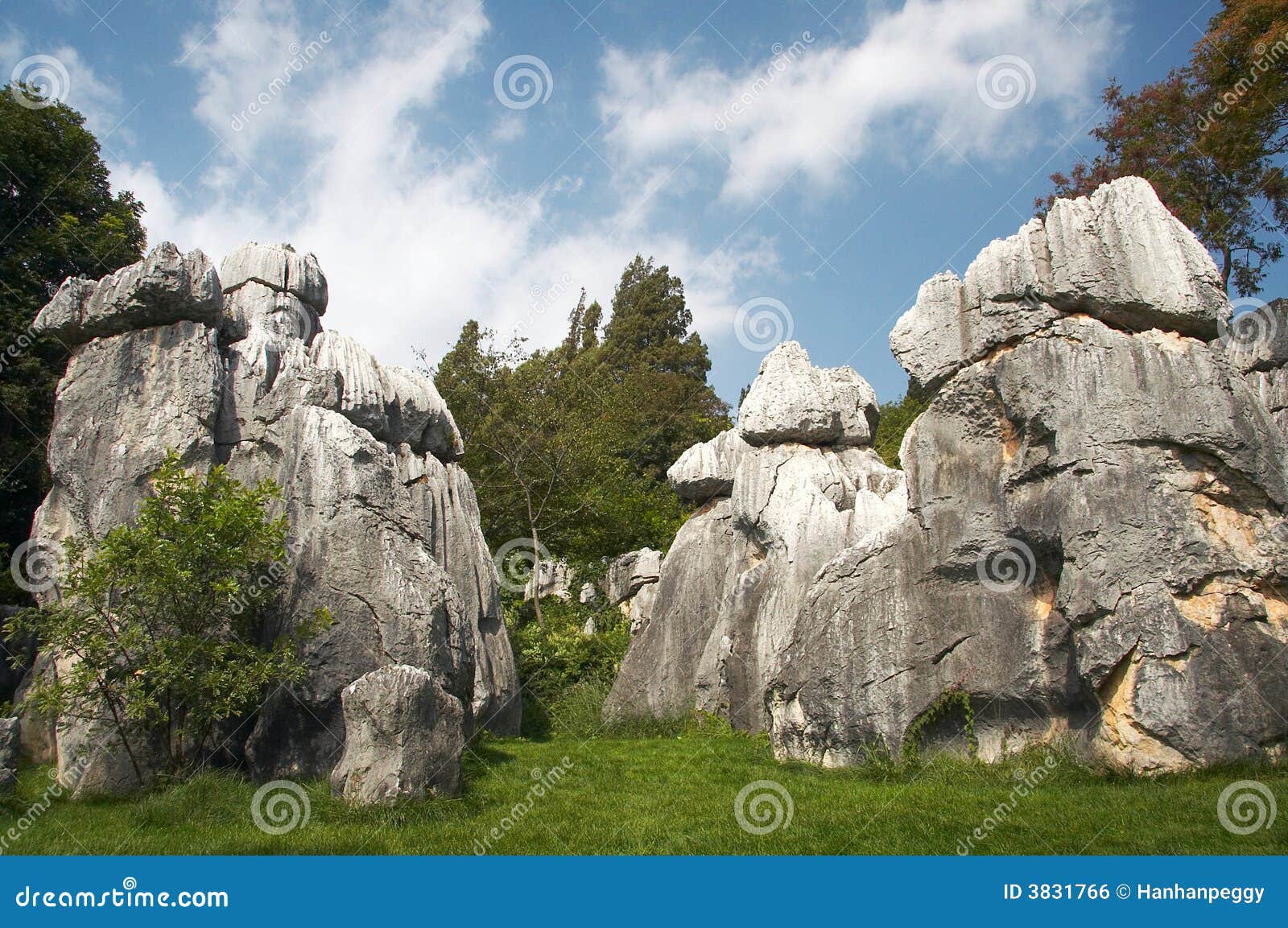 Stone forest stock photo. Image of rock, garden, huge - 3831766