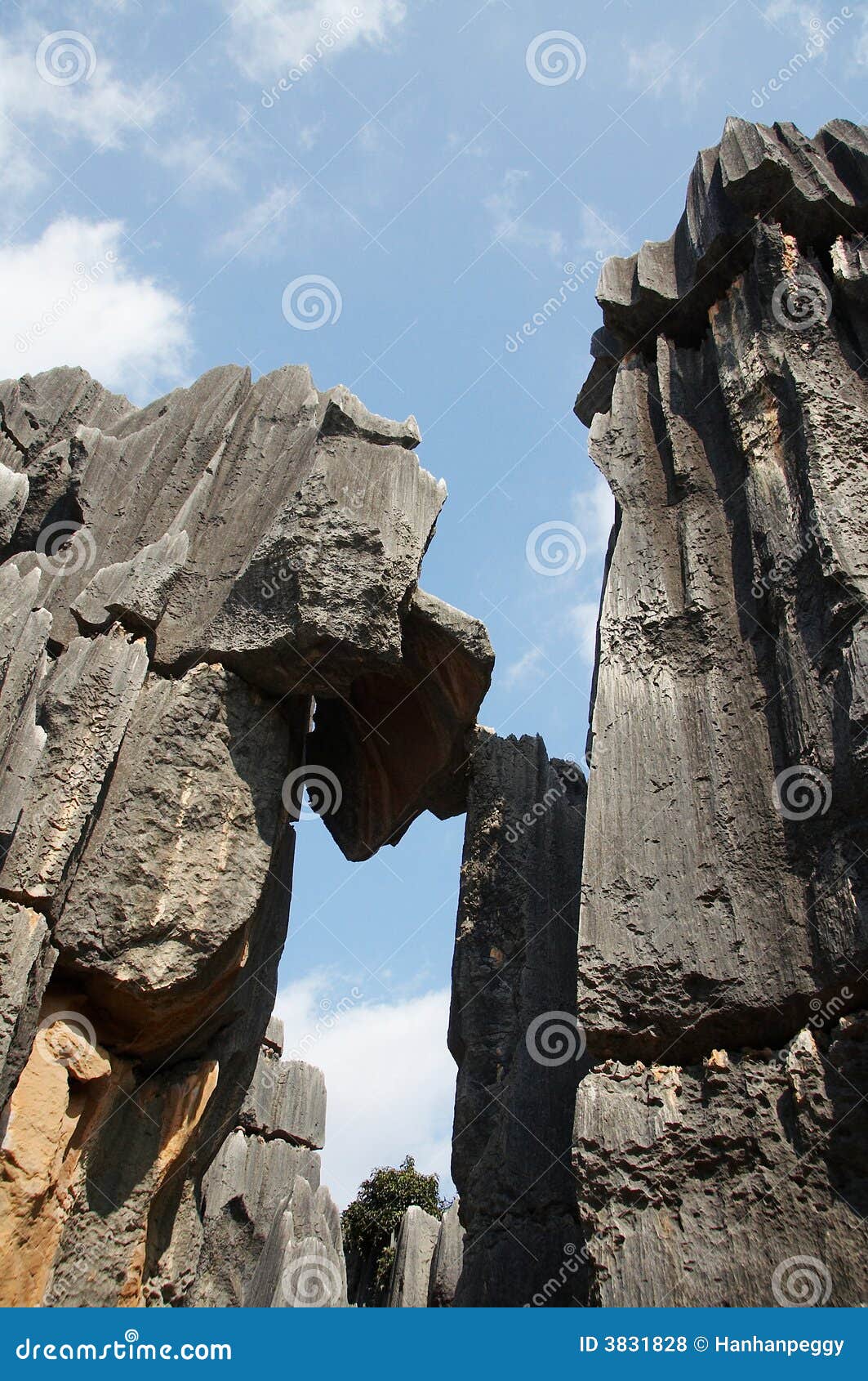 Stone forest stock photo. Image of layered, nature, parks - 3831828