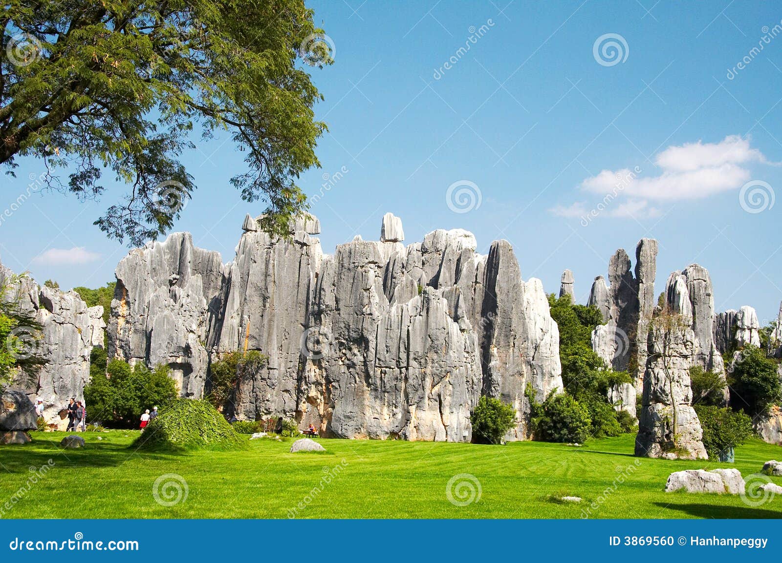 Stone forest stock photo. Image of national, layer, layered - 3869560