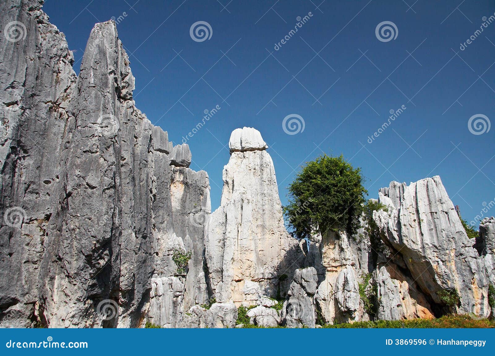 Stone forest stock photo. Image of outdoor, clouds, parks - 3869596