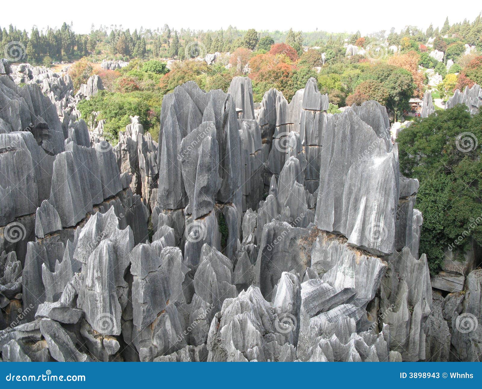 Stone forest stock image. Image of rock, parks, landscapes - 3898943