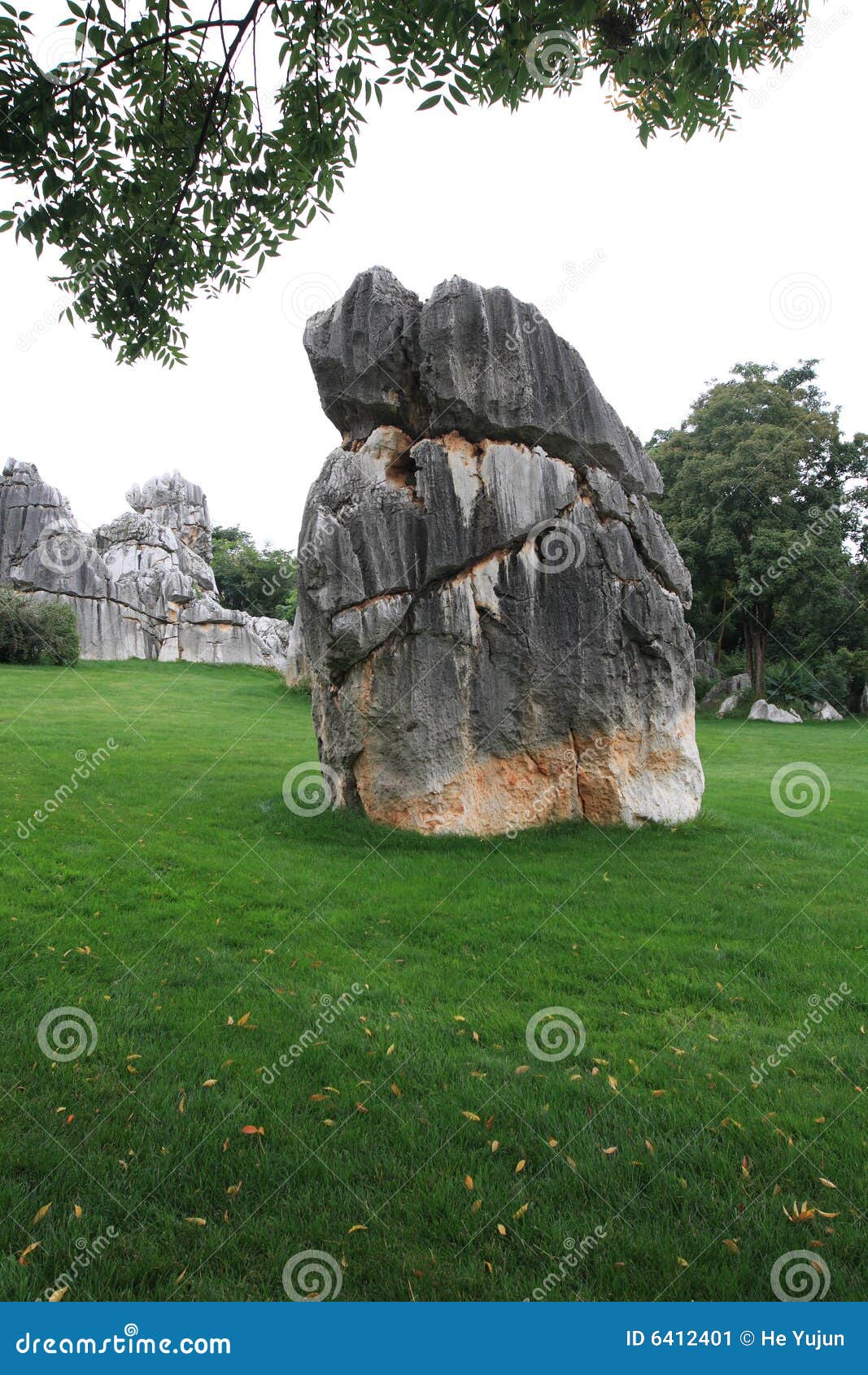 Stone Forest Picture. Image: 6412401