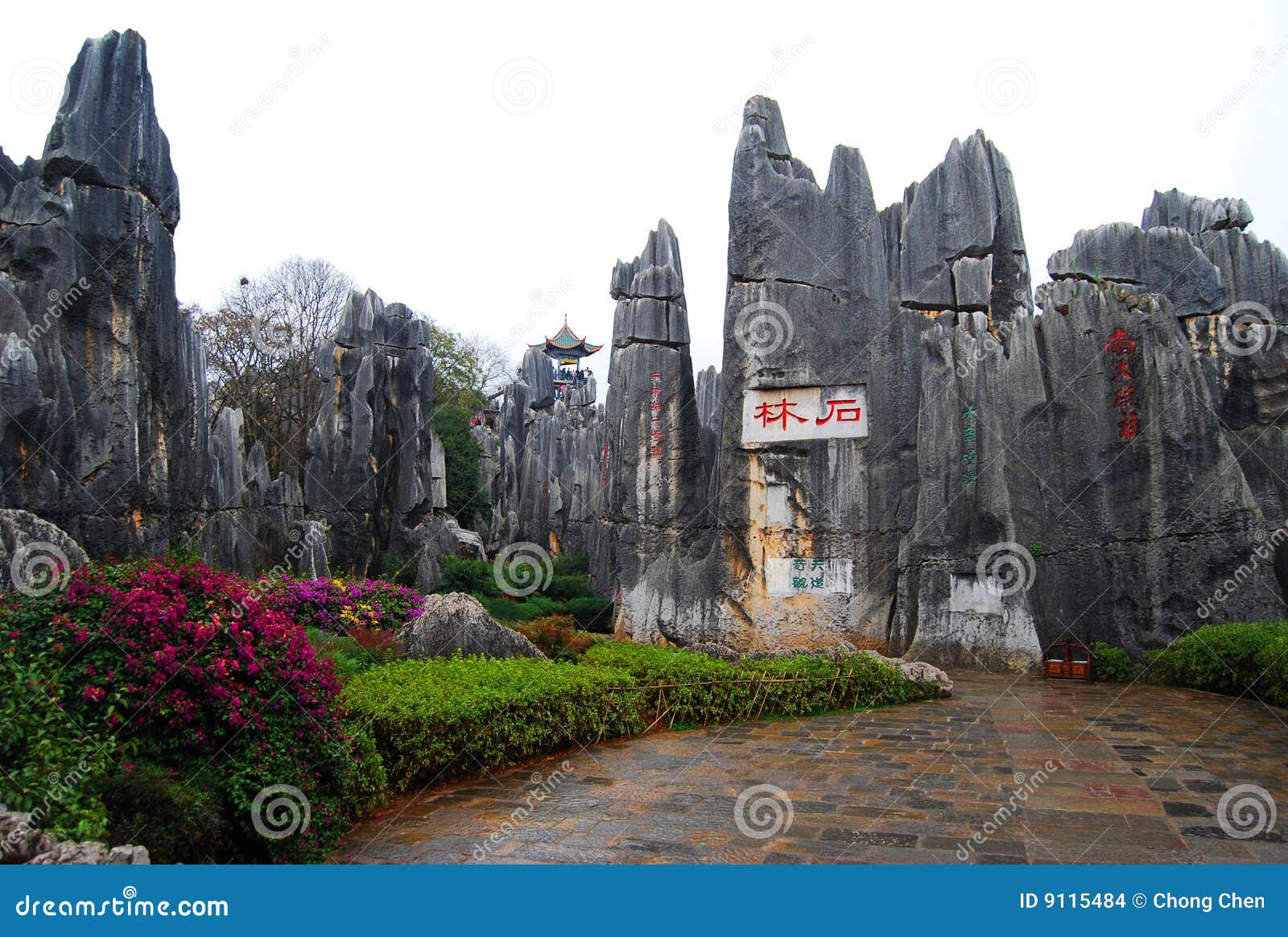 Stone Forest (Shilin) in Kunming Stock Photo - Image of kunming, plants ...