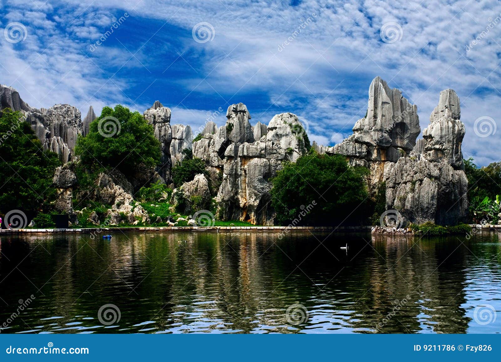 Stone Forest stock photo. Image of stone, karst, topography - 9211786