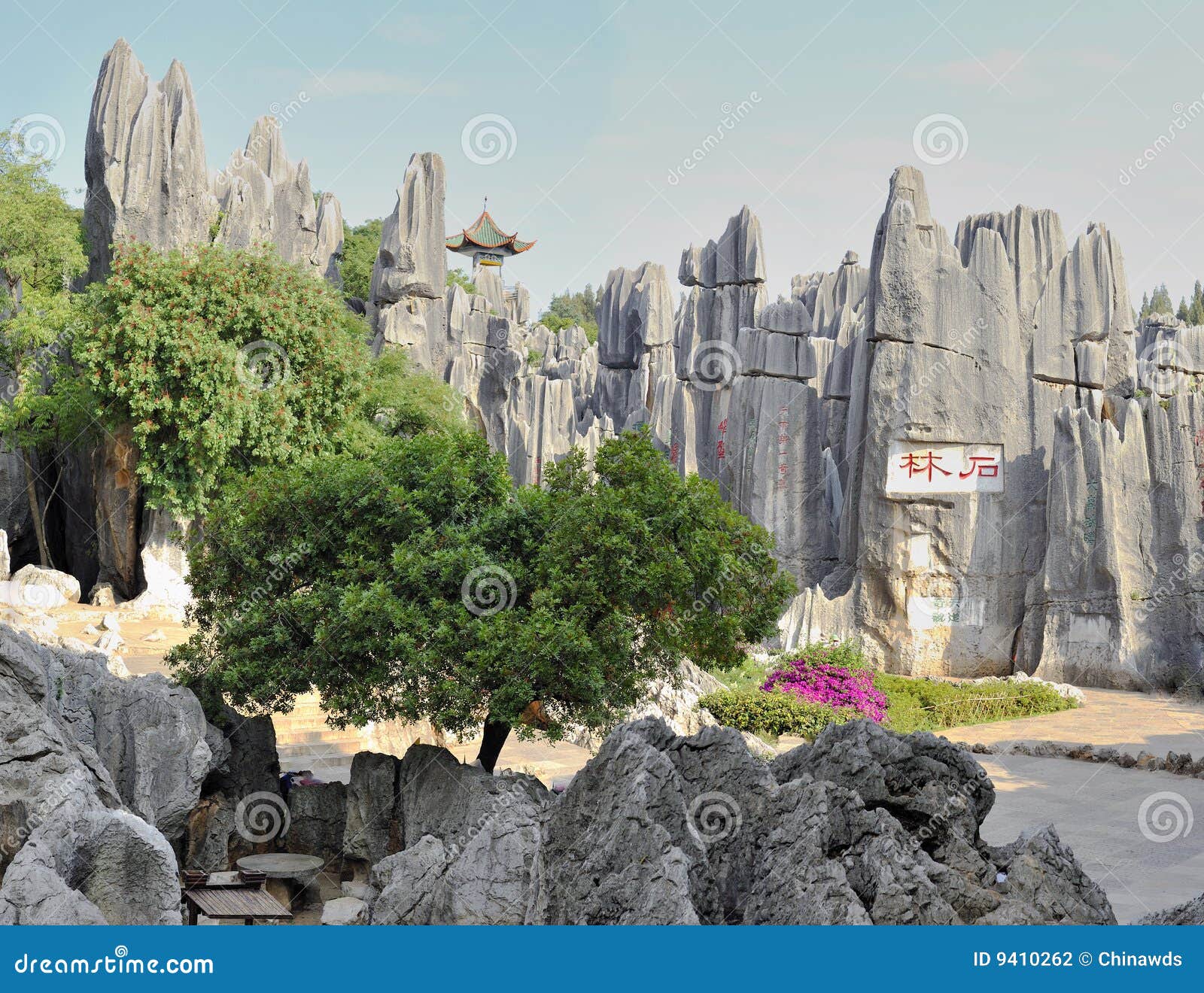 Stone forest stock photo. Image of stone, geography, evolution - 9410262