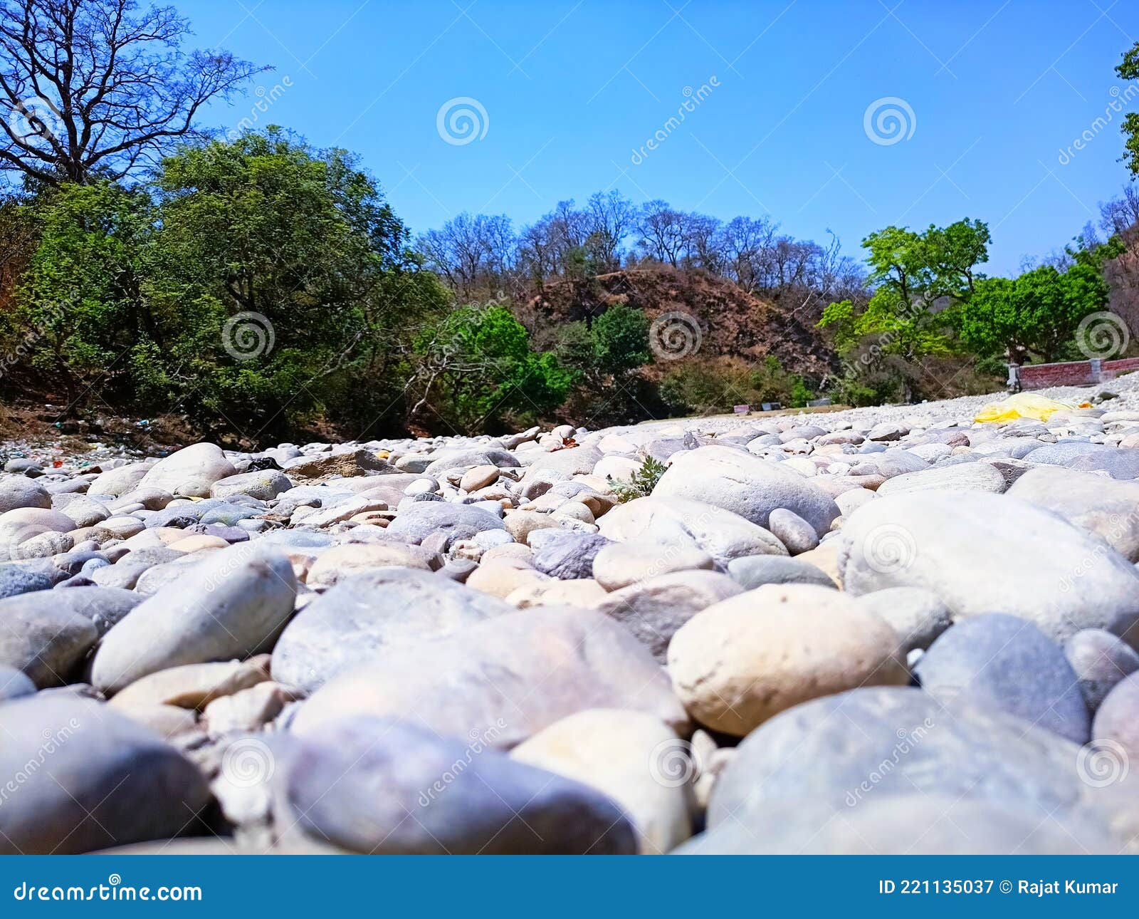 Stone in the Forest stock image. Image of nature, wilderness - 221135037